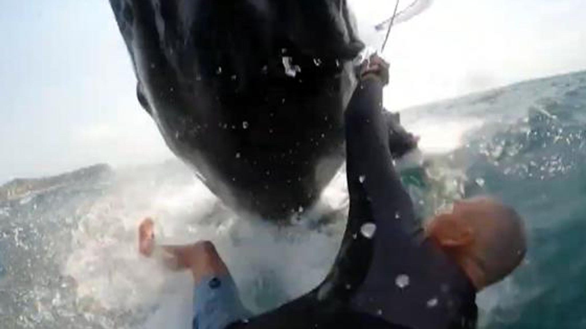 Australian surfer captures incredible moment a whale slams into him on ...