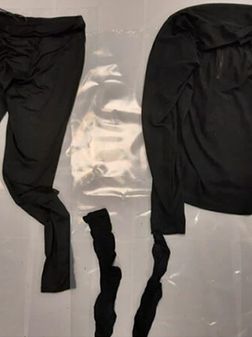 Joshua Hunt: Man who terrified Somerset drivers while 'writhing around ...