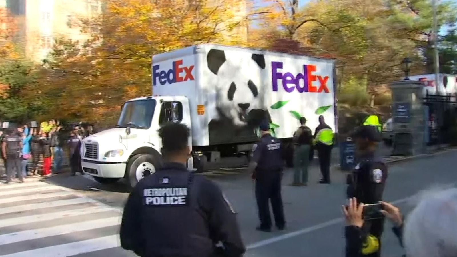 Pandas: Three giant pandas begin return to China from Smithsonian’s ...