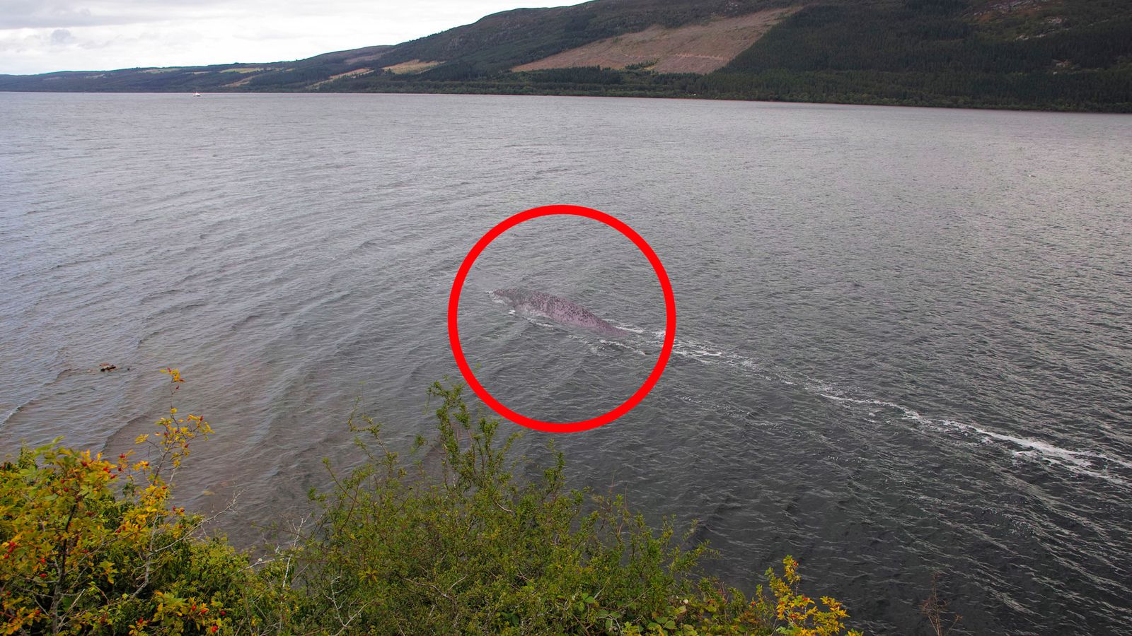 The Loch Ness monster and the story behind the mysterious water beast theories - 90 years since ...