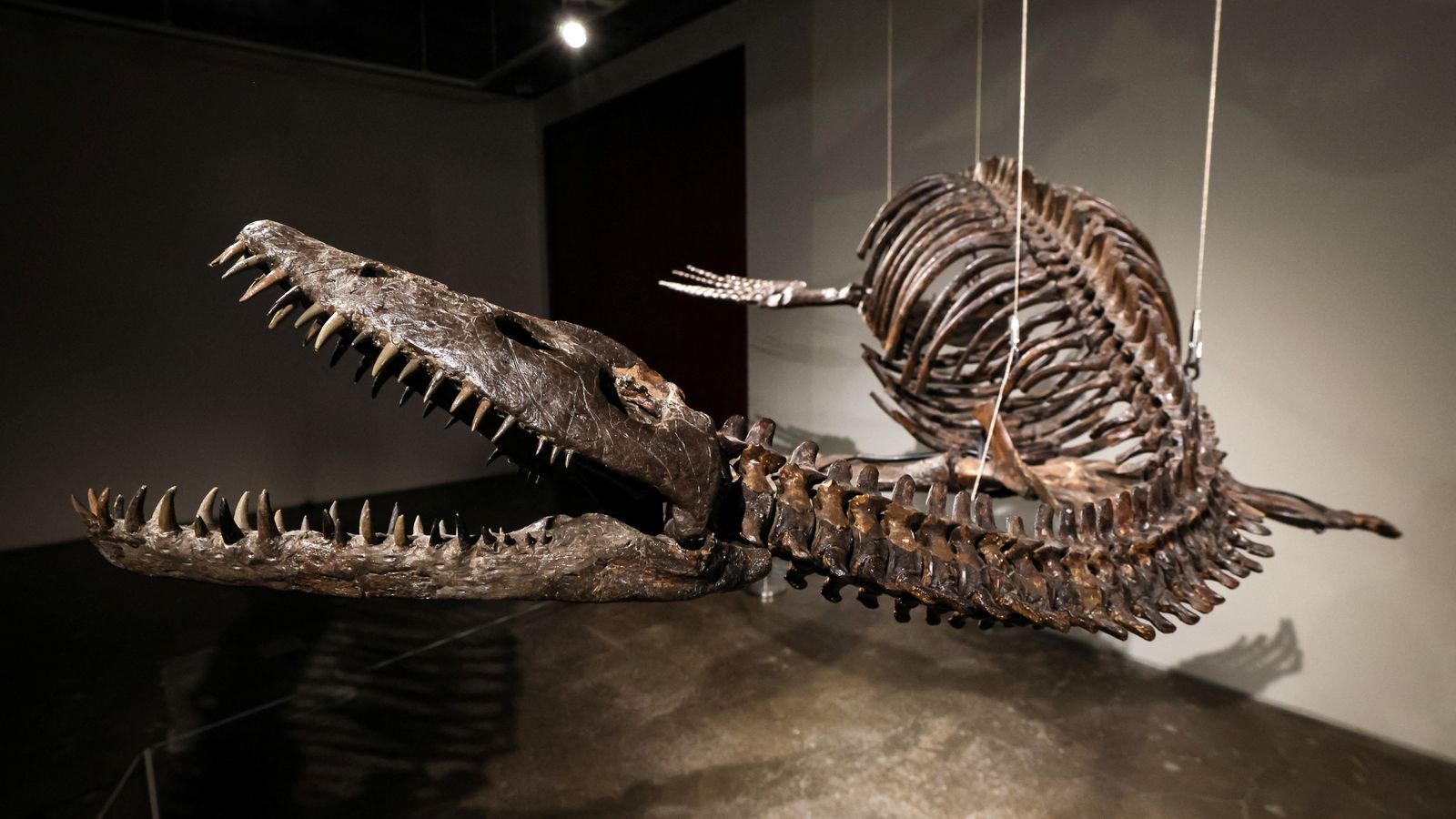 The Loch Ness monster and the story behind the mysterious water beast ...