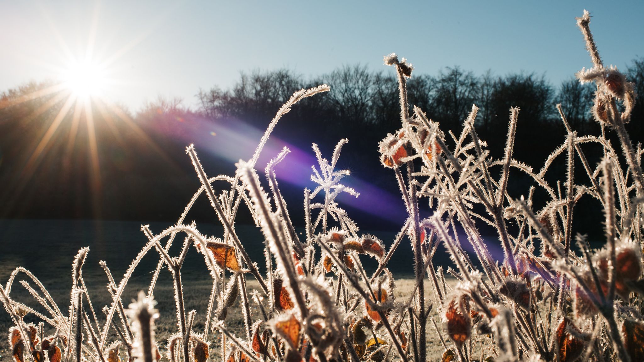 UK weather: First widespread autumn frost could bring temperatures as ...