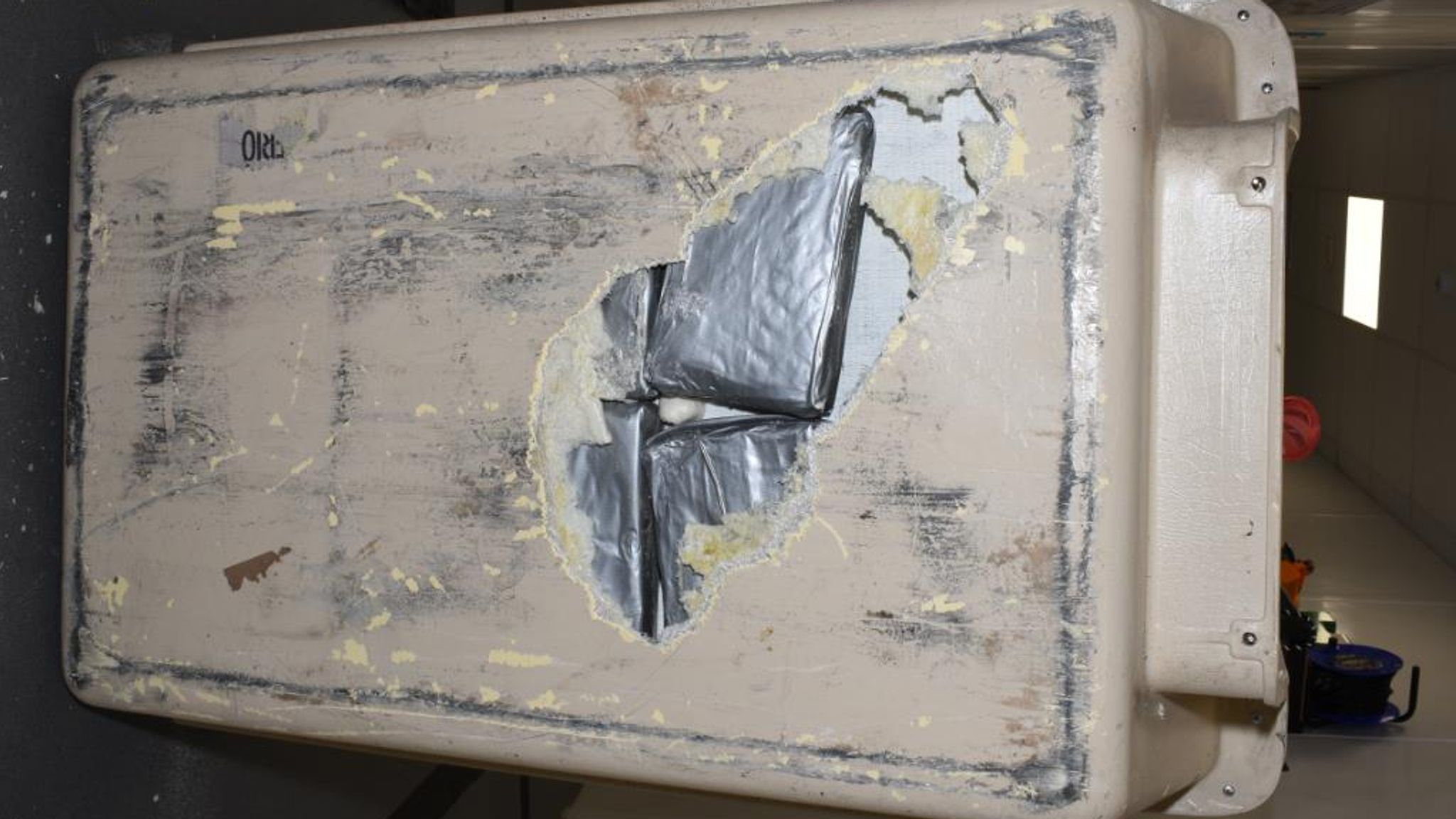 Man caught trying to smuggle £800,000 worth of cocaine in dog's travel ...