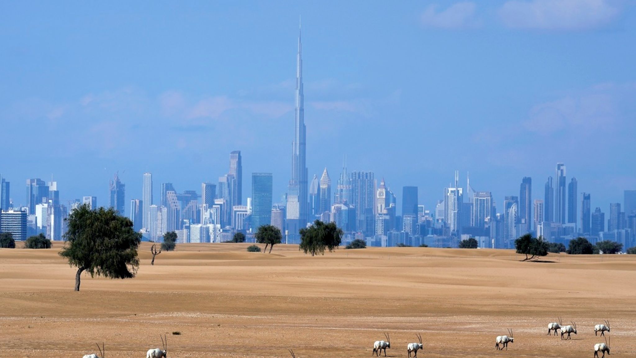 Dubai may be the last place you'd associate with a climate conference ...