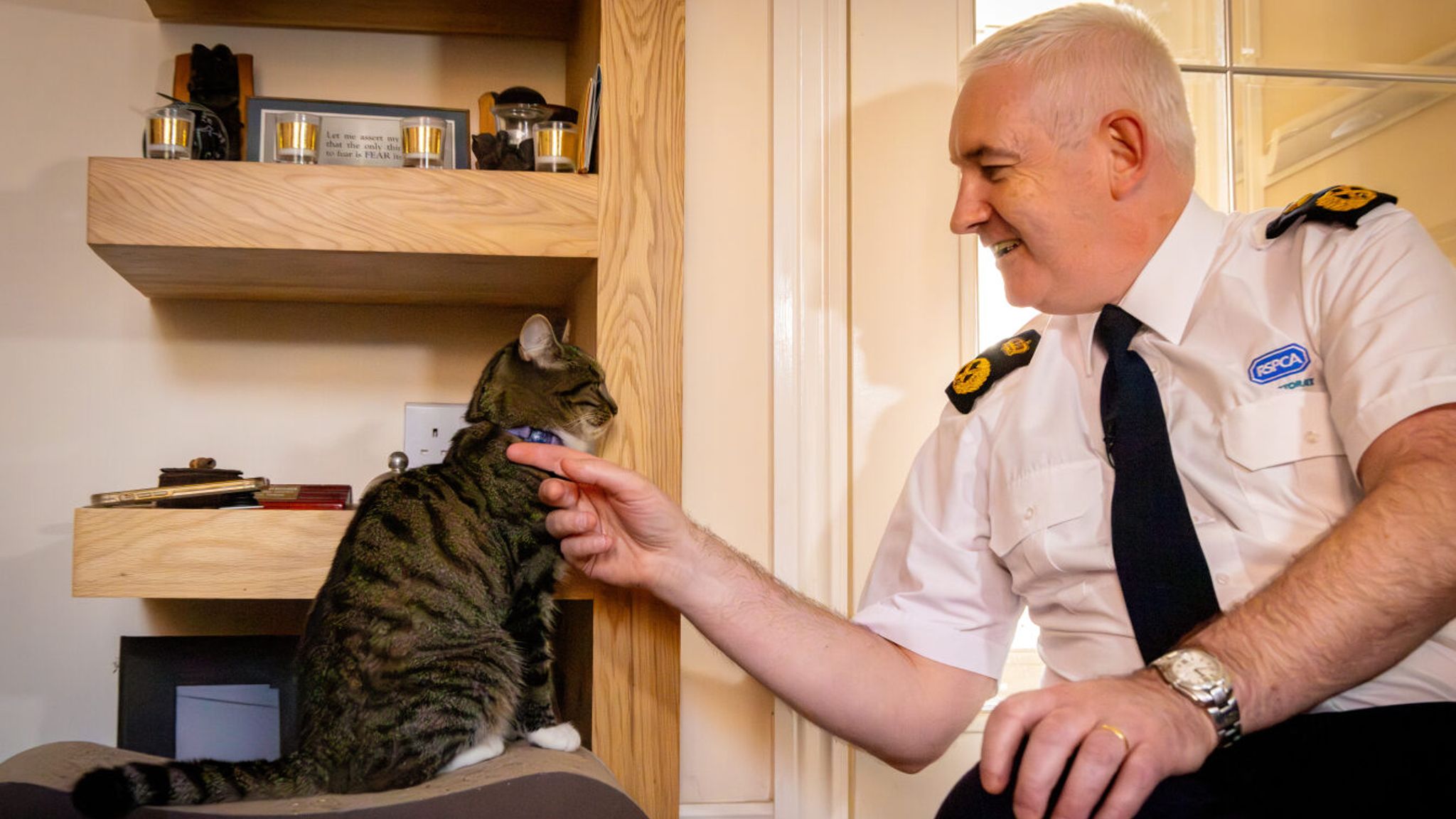 RSPCA warns animal abandonments at three-year high as 'unwanted pets ...