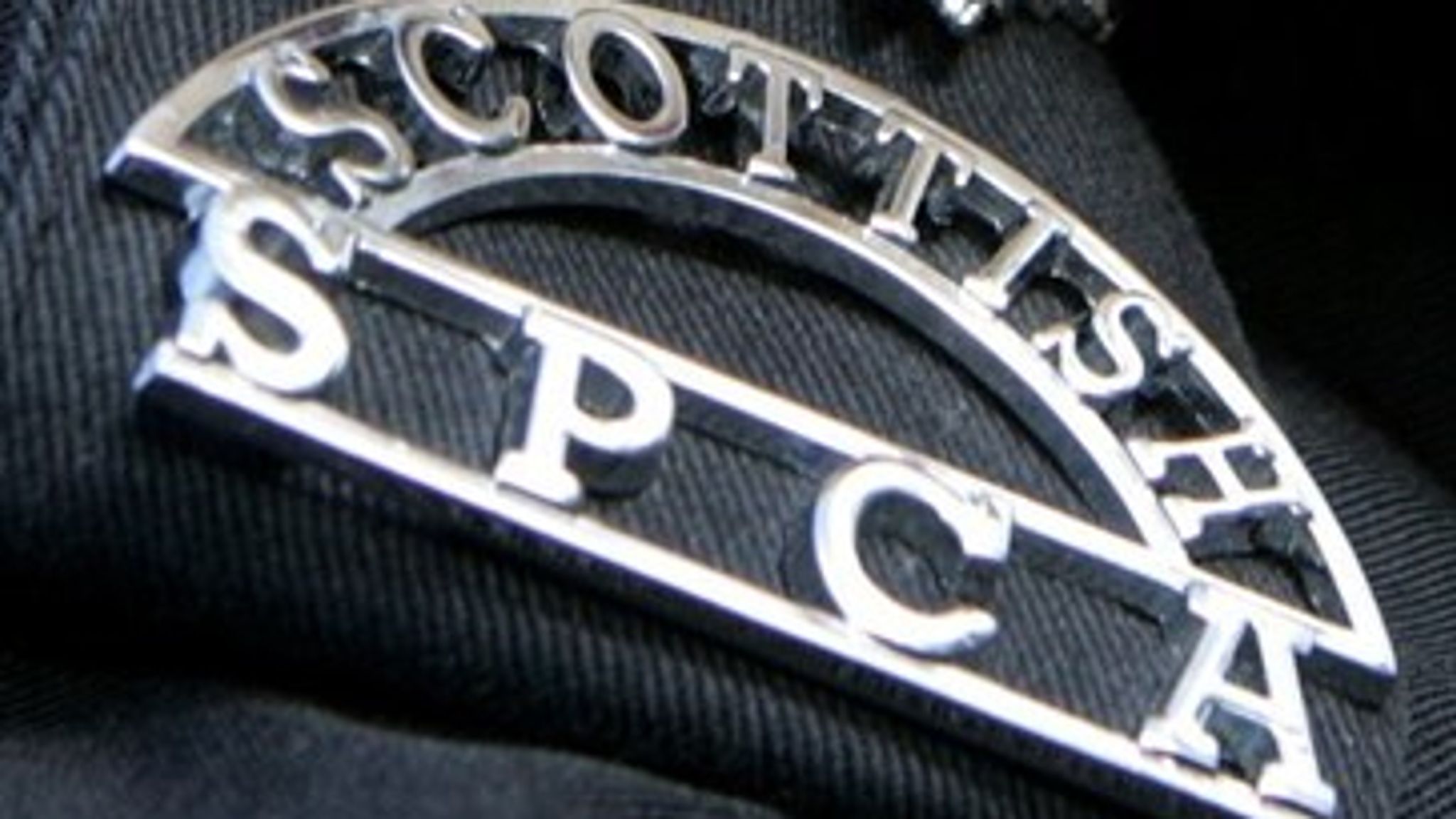 Elisha Walker banned from keeping animals after leaving cats alone in ...