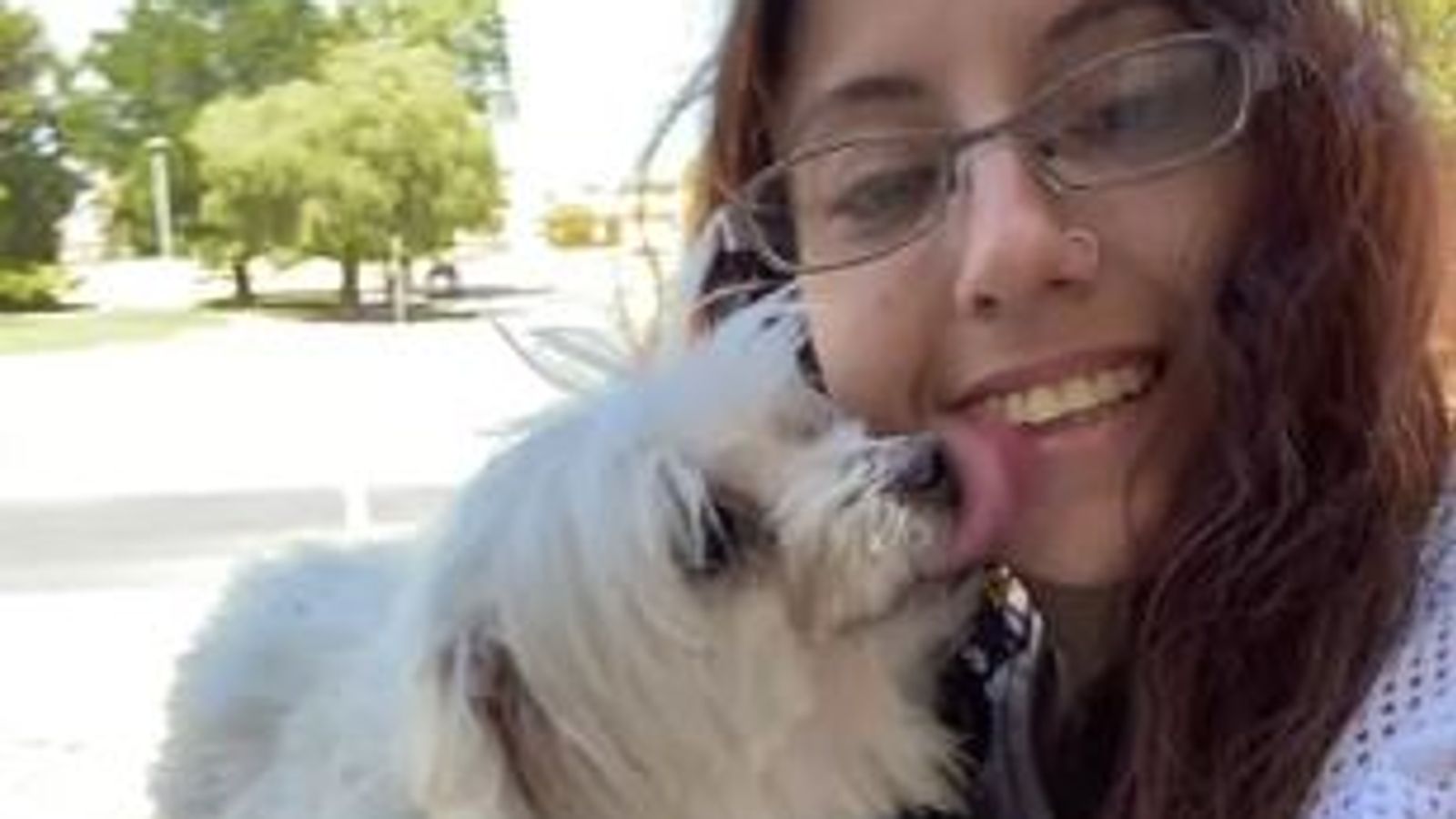 Pet owner jailed for throwing dog from top floor of multi-storey car ...