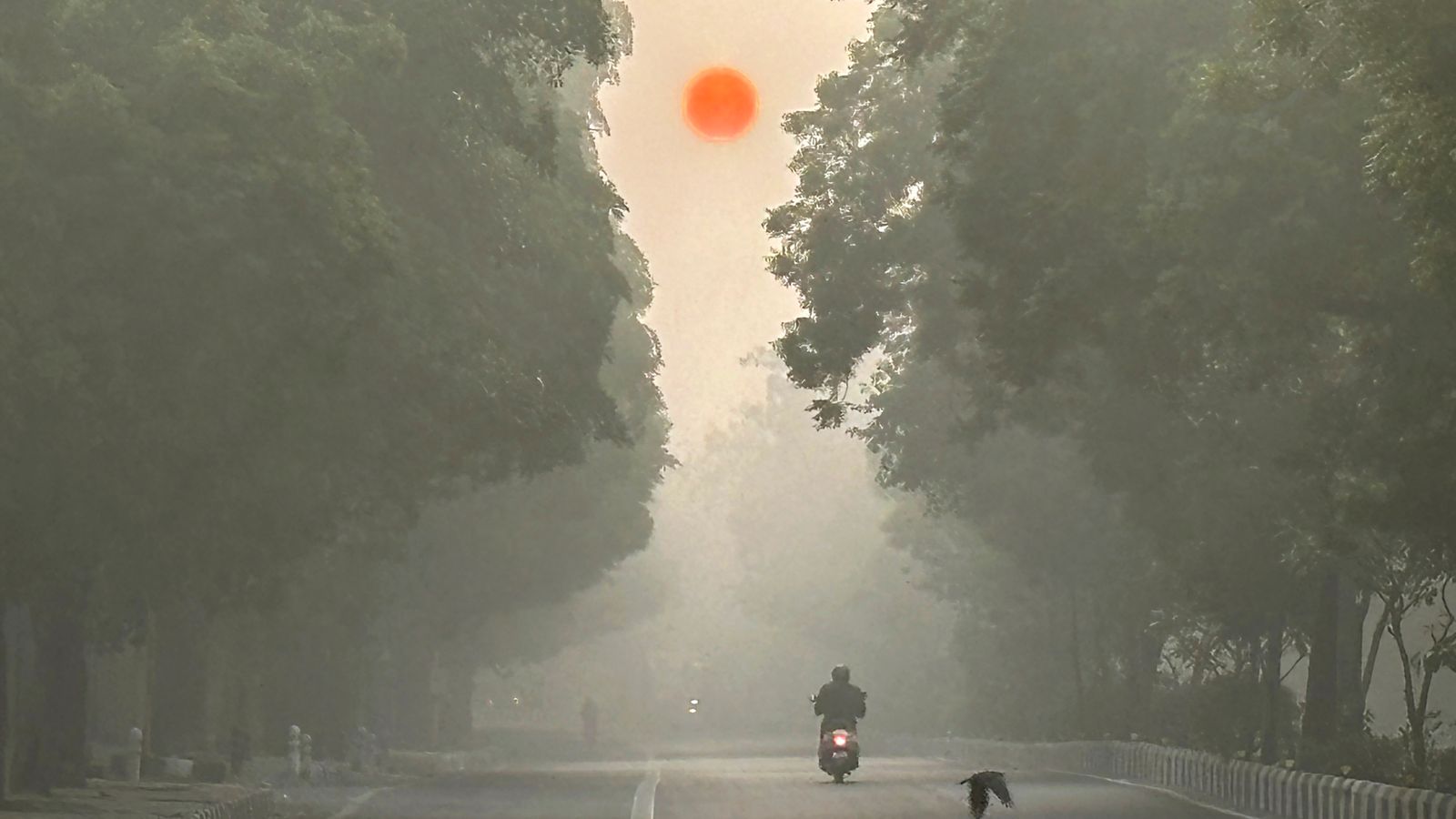 Thick fog swallows up New Delhi and causes travel disruption | World ...