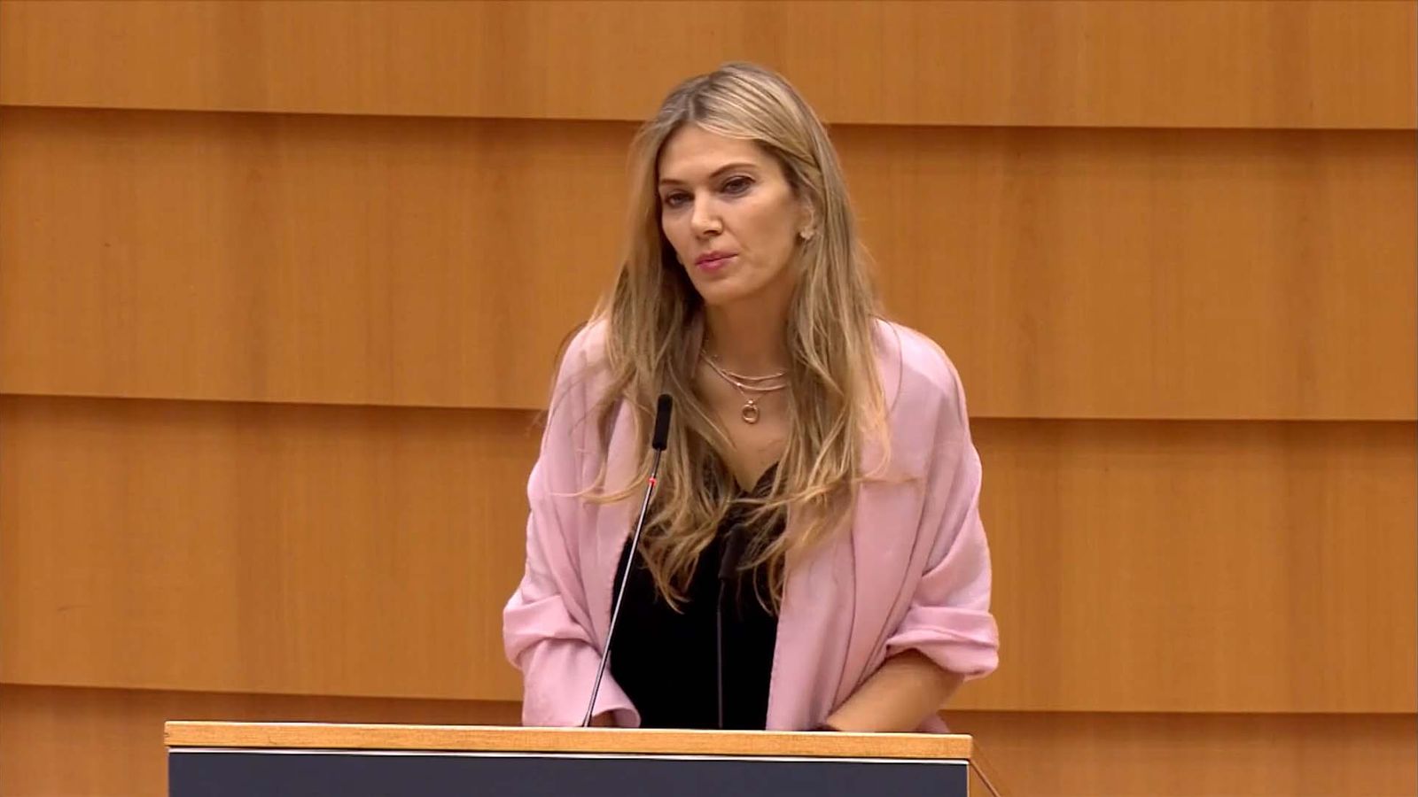 Brought down by a bag of cash: The politician fighting to clear her ...