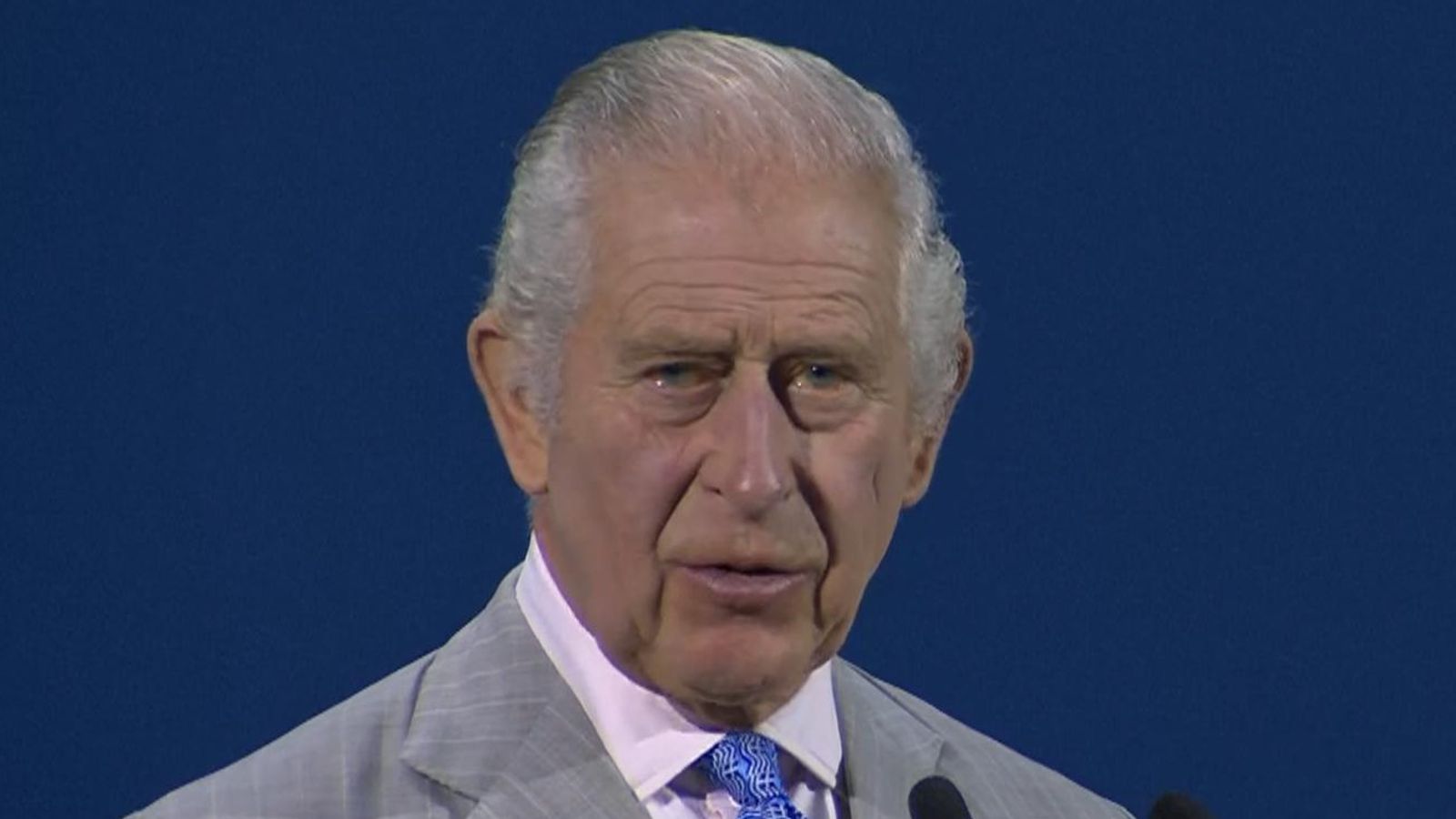 King addresses COP28 summit in Dubai, telling the delegates he is ...