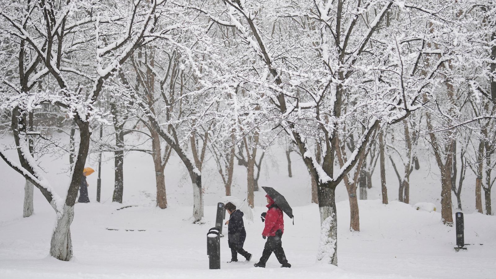 Heaviest snow in South Korea's capital Seoul for more than 40 years ...
