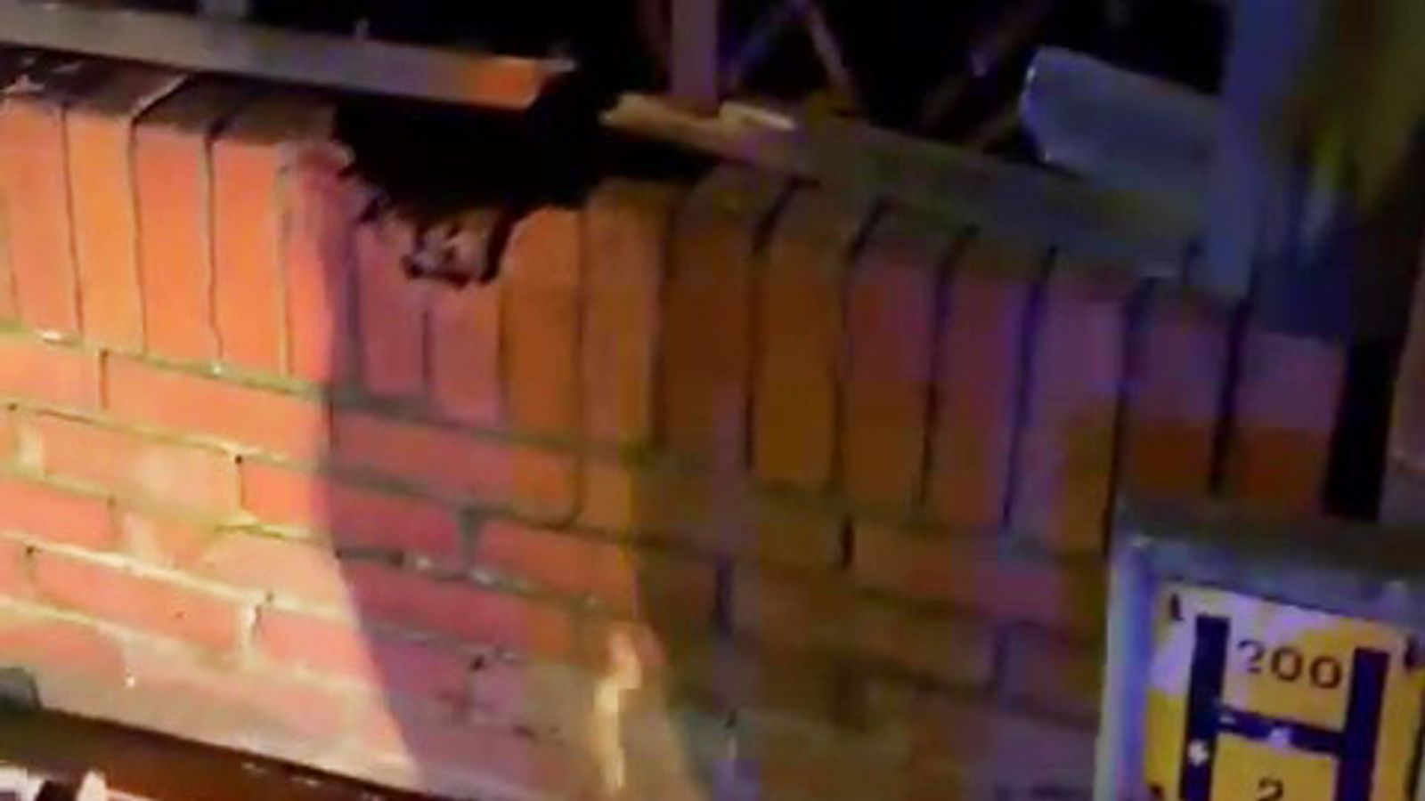 Two men, aged 60 and 61, arrested by counter terror police over ULEZ ...