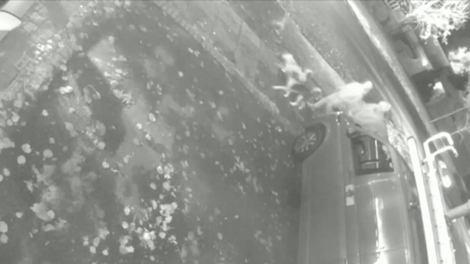 Moment explosion damages ULEZ camera in Sidcup | UK News | Sky News