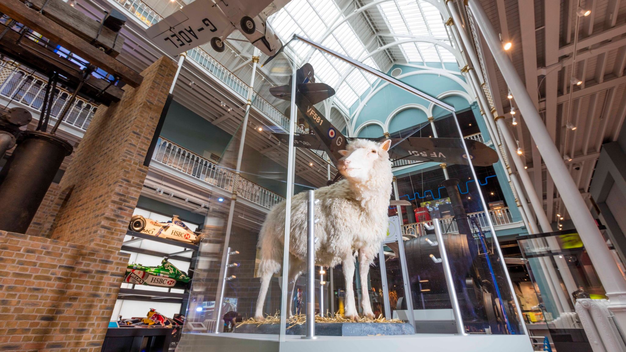 Dolly the sheep's fleece to go on display at National Museums Scotland ...