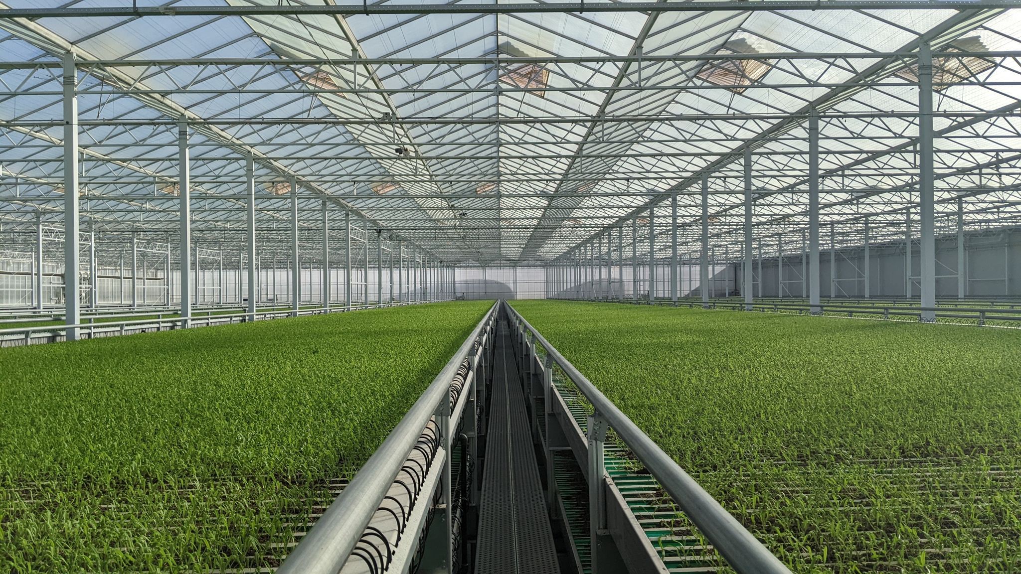 Dubai is hosting COP28 - but is it playing its part to tackle climate ...