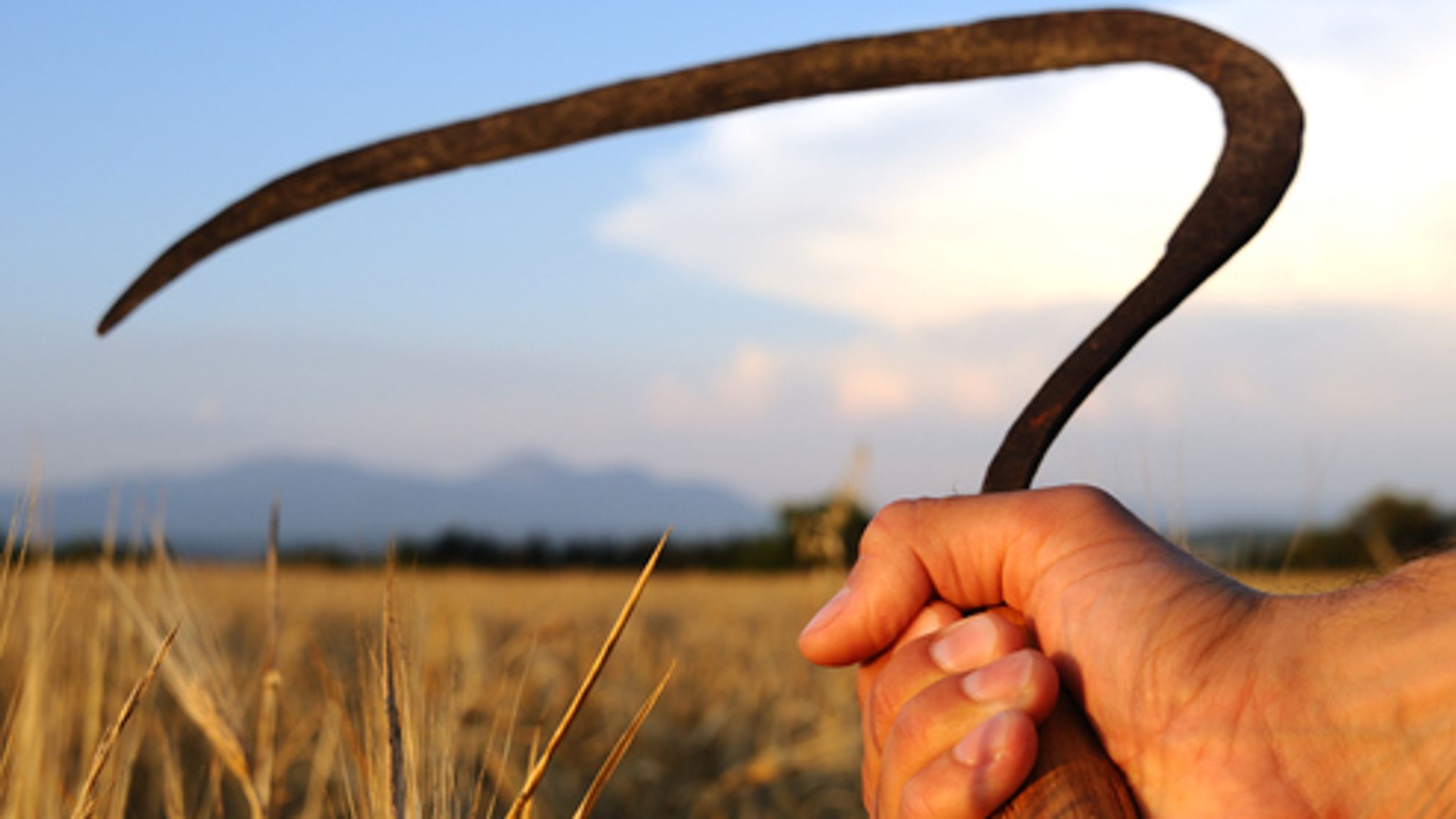 At least 11 killed as Mexican farmers 'fight cartel members' with ...
