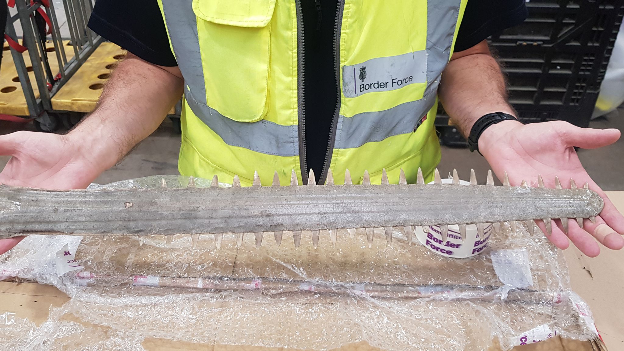 Crocodile blood and big cat body parts among illegal wildlife products ...