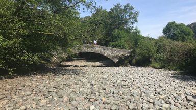 Climate change: 'Chaos' for UK nature, as rising temperatures and extreme weather become the ...