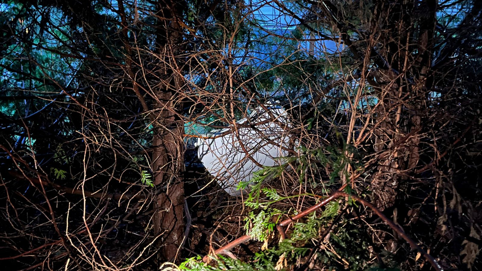 United Airlines finds problems with doors on 737 Max 9 aircraft - days ...