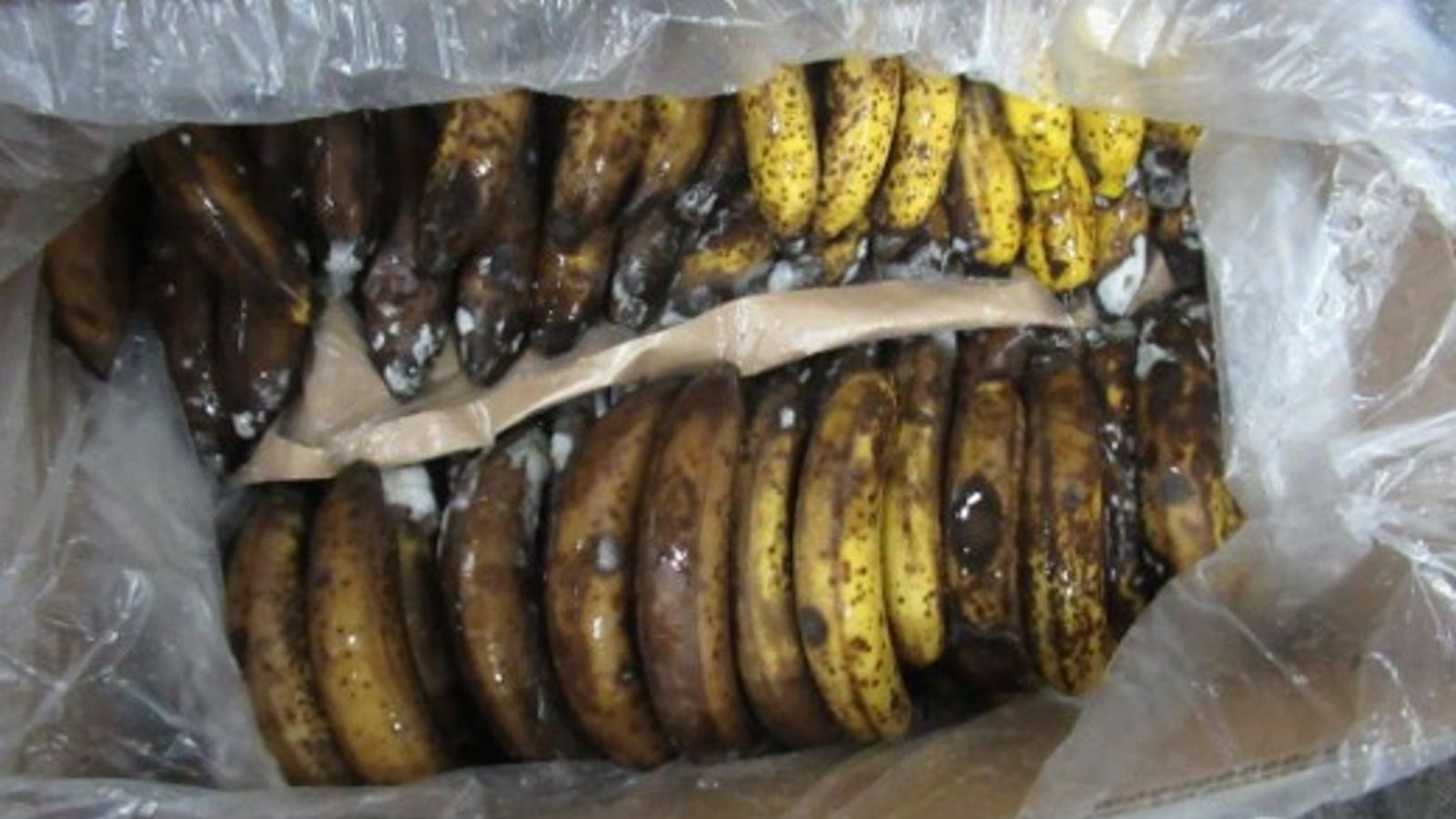 Three men charged after cocaine found in banana shipments | UK News | Sky News