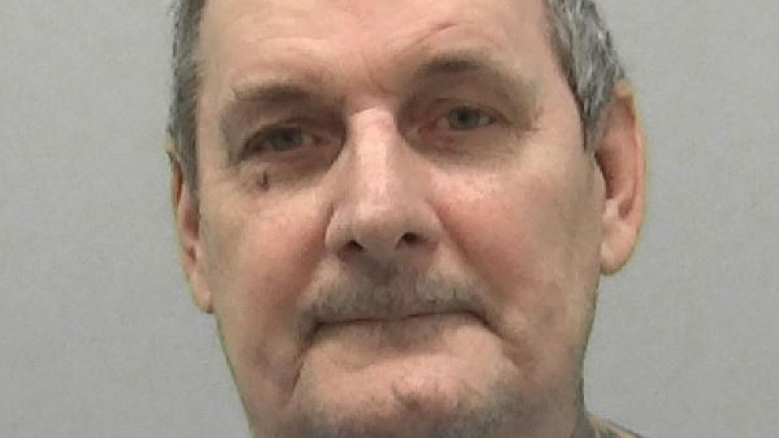 Nikki Allan death: Police watchdog to investigate case of murdered ...