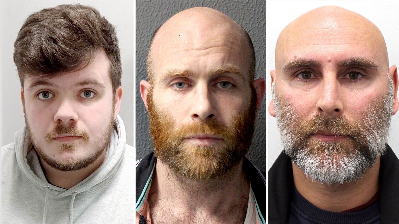 Marius Gustavson: Mastermind behind 'eunuch maker' extreme body ...