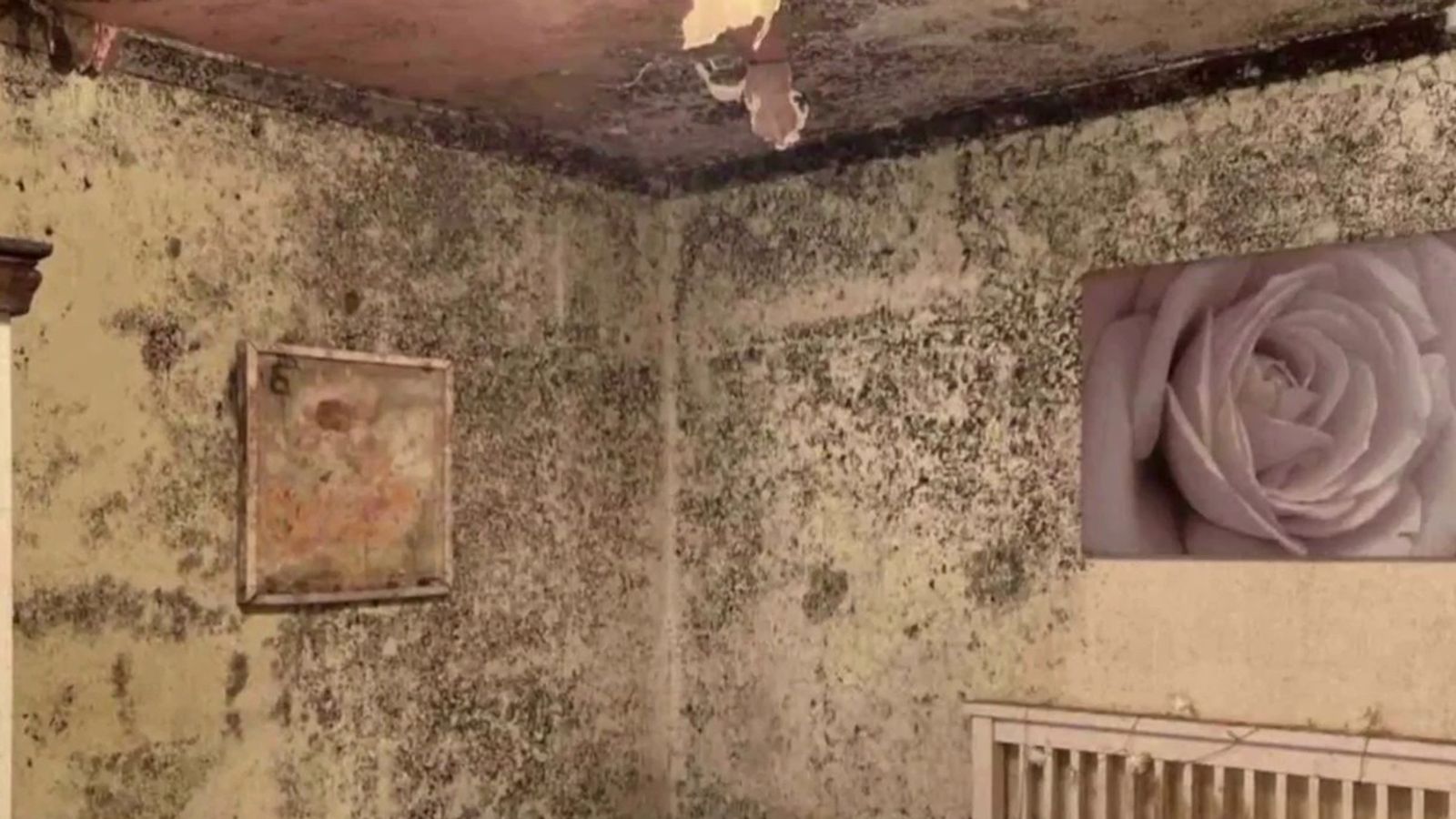 Locals step in to restore pensioner's mould-ridden home | News UK Video ...