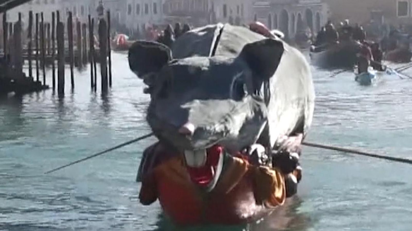 Giant rat from local legend leads Venice Carnival on Grand Canal | World News | Sky News
