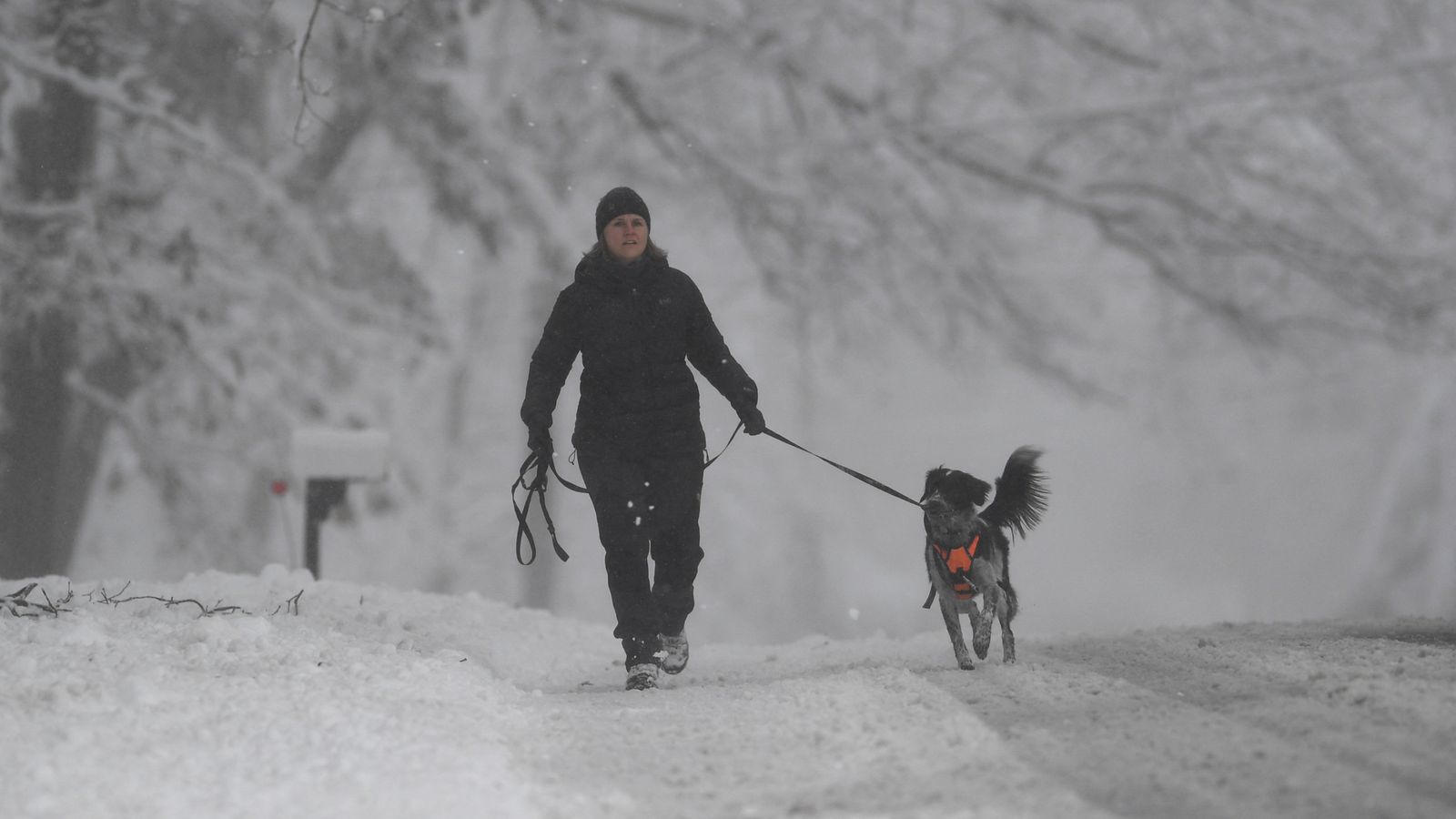 Major 'coast-to-coast storm' to hit US after weekend of heavy snow | US ...