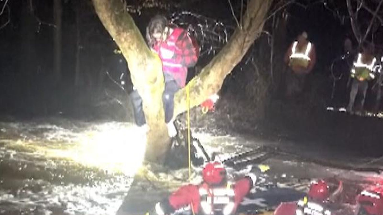 US weather: Man trapped in tree rescued from raging river | US News ...