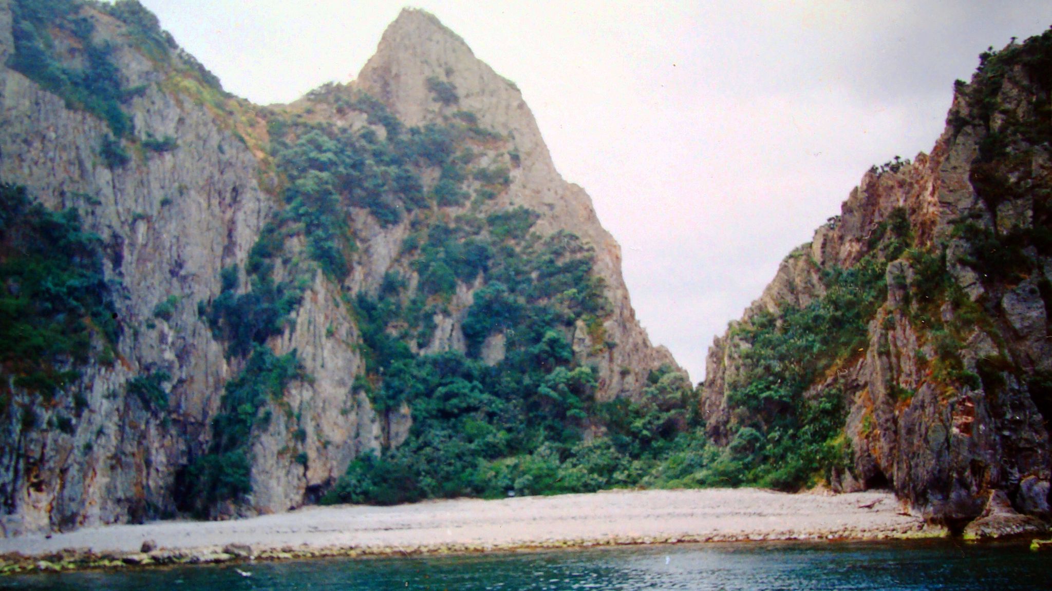 Man stranded at sea in New Zealand rescued after using watch to reflect ...