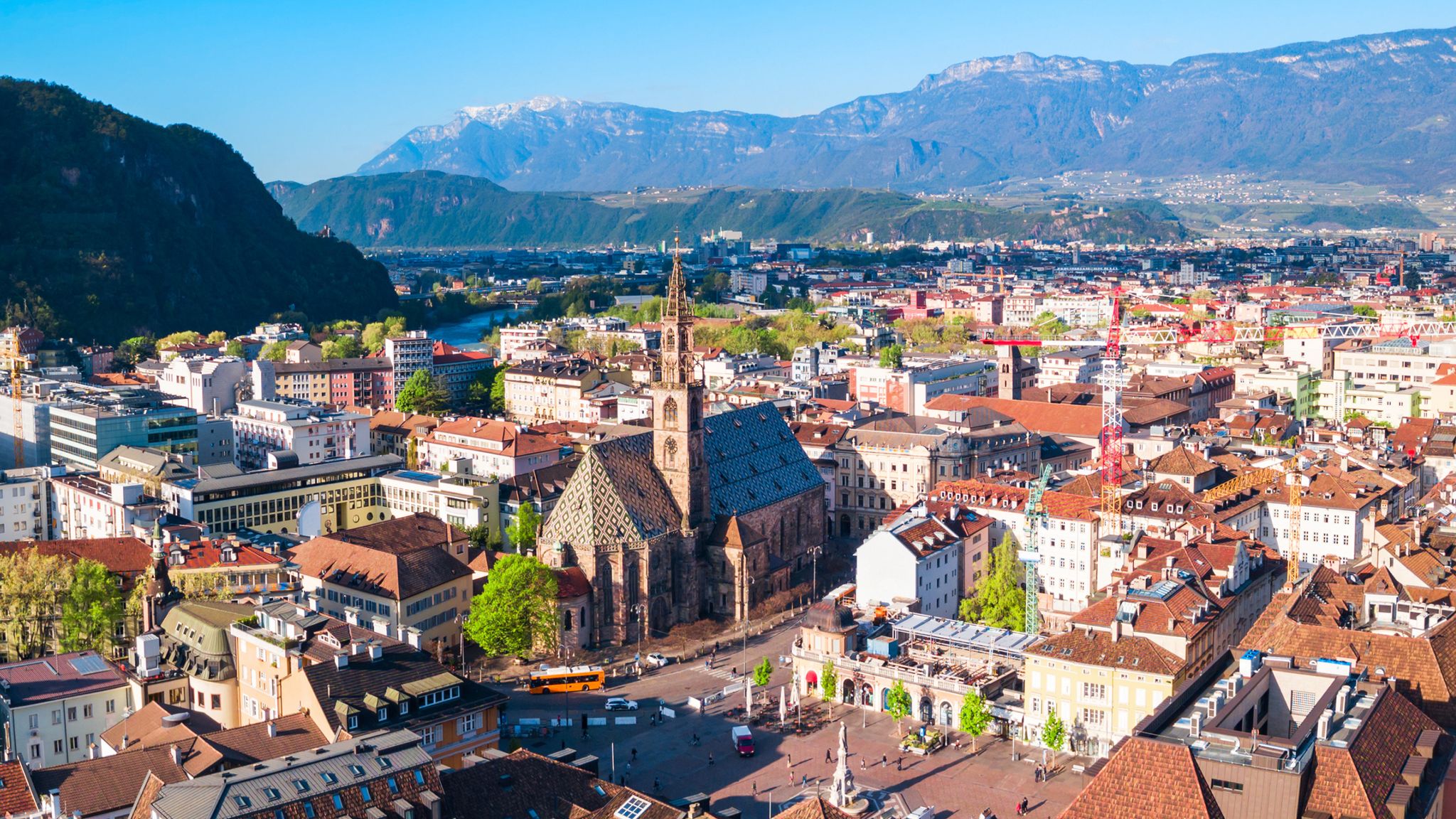 Italian province orders DNA tests for all dogs to trace and fine owners ...