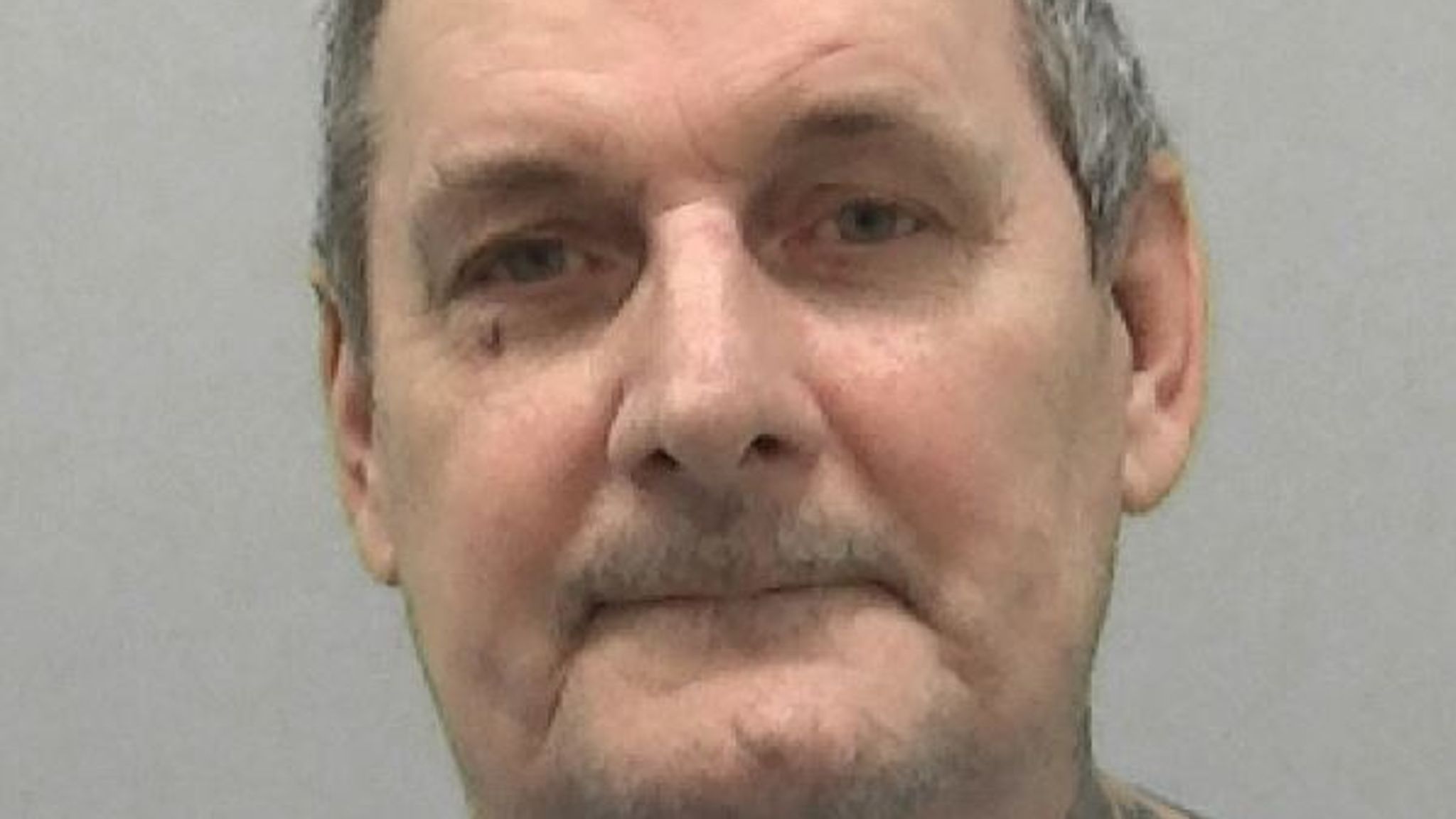 Nikki Allan death: Police watchdog to investigate case of murdered ...