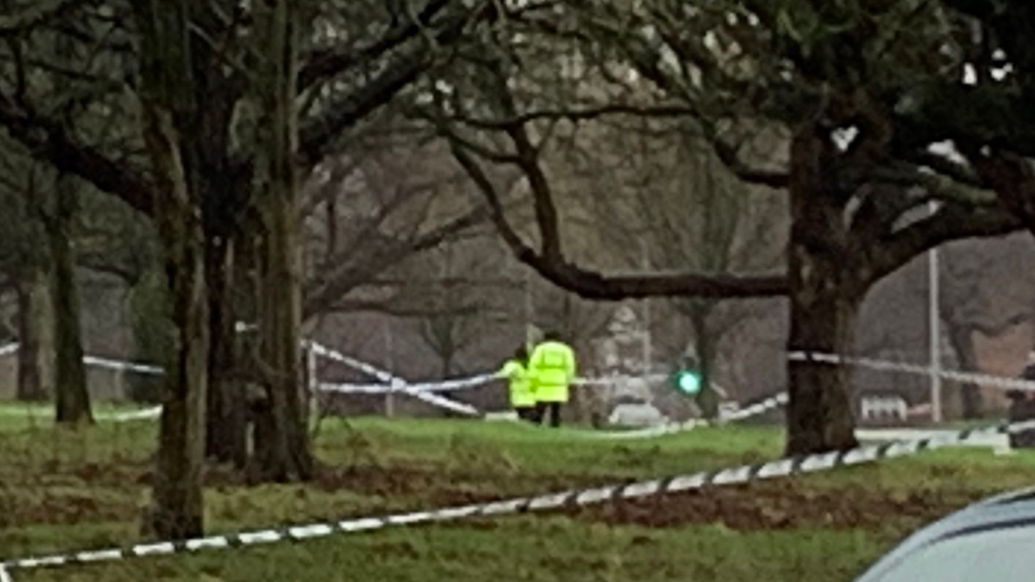 Two dogs die after eating unknown white substance in Liverpool park ...