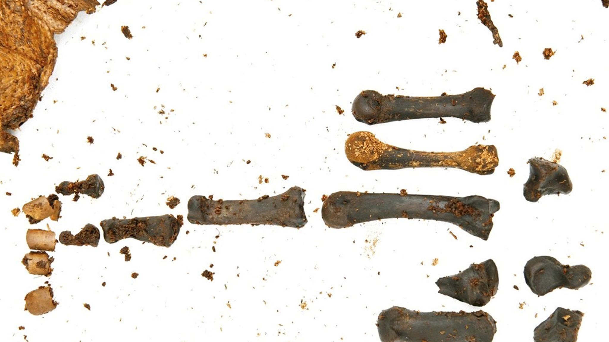 Well-preserved human remains thought to be up to 2,500 years old ...