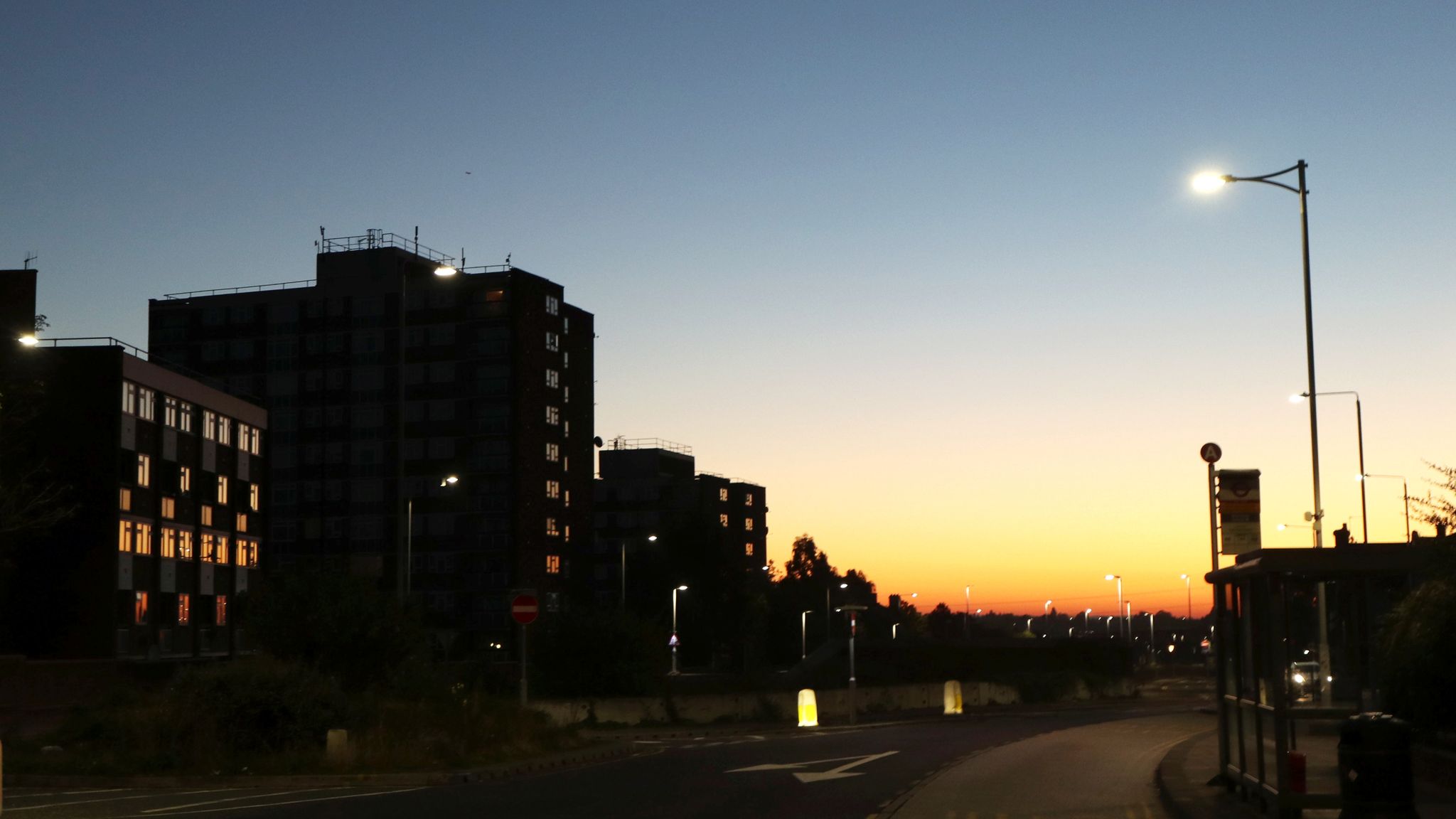Revealed: Why flying insects seem drawn to bright lights | World News ...