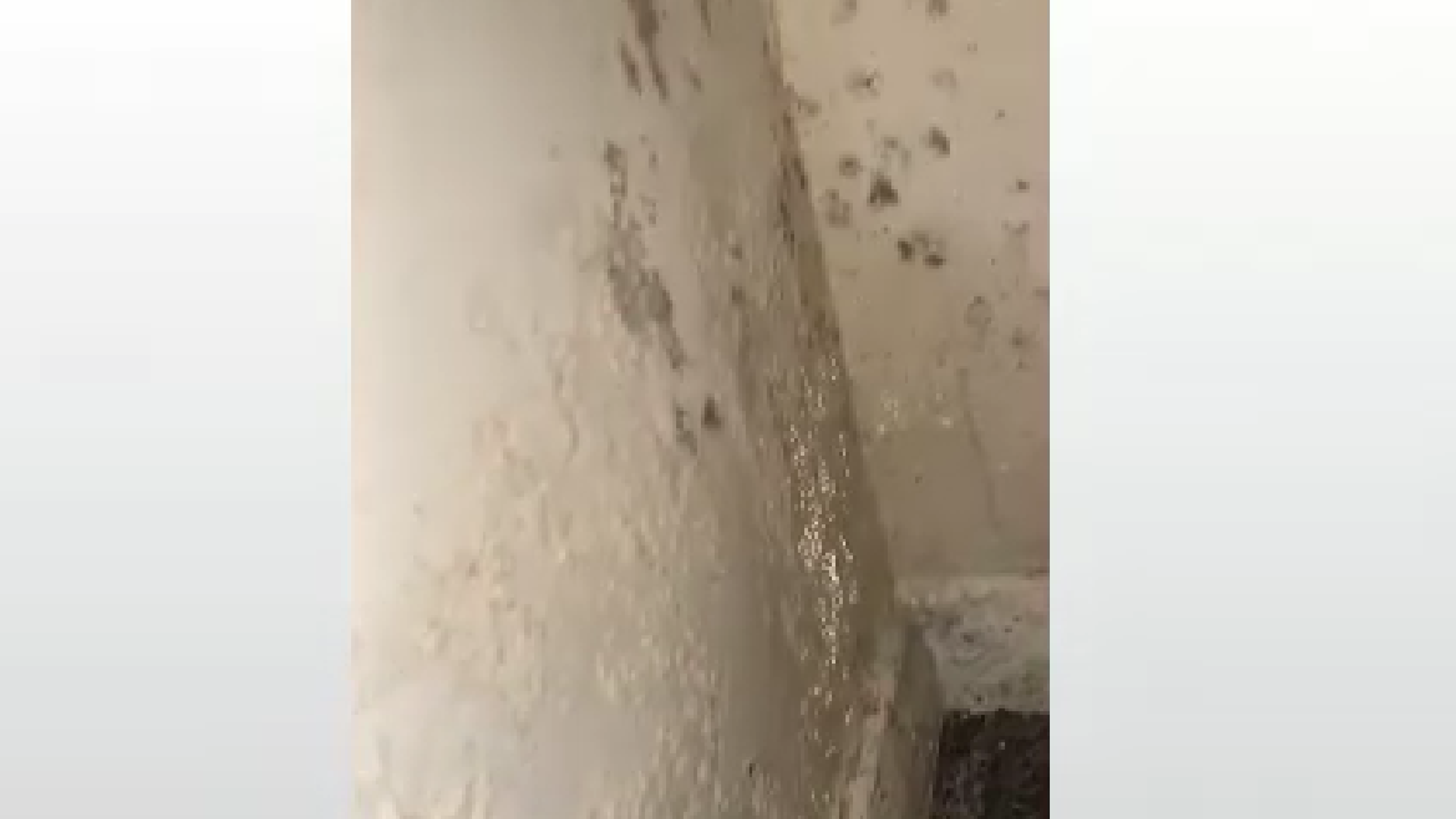 Mother forced to live in a damp ridden home was scared she was 'going ...