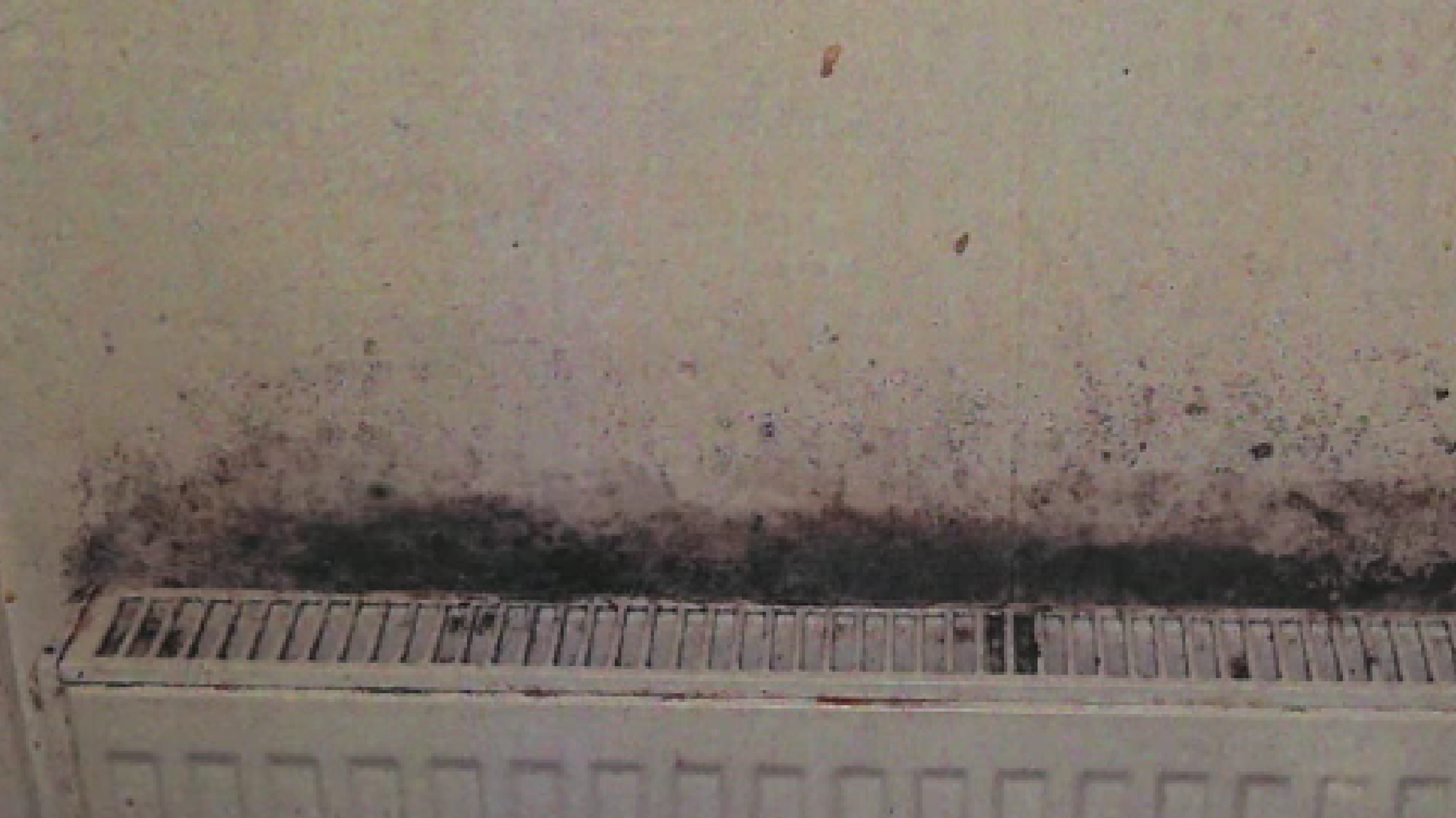 Mother forced to live in a damp ridden home was scared she was 'going ...