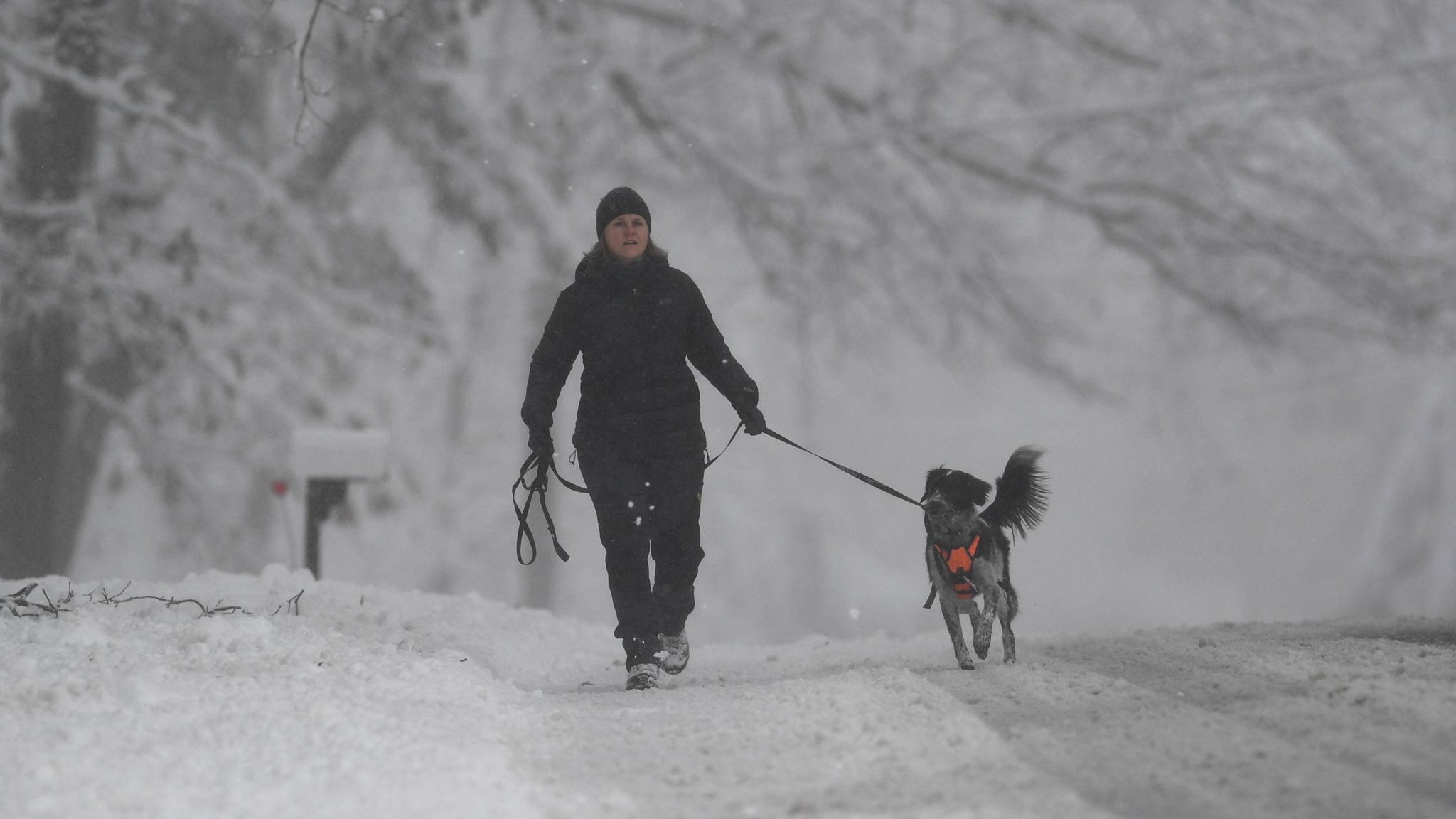 Major 'coast-to-coast storm' to hit US after weekend of heavy snow | US ...