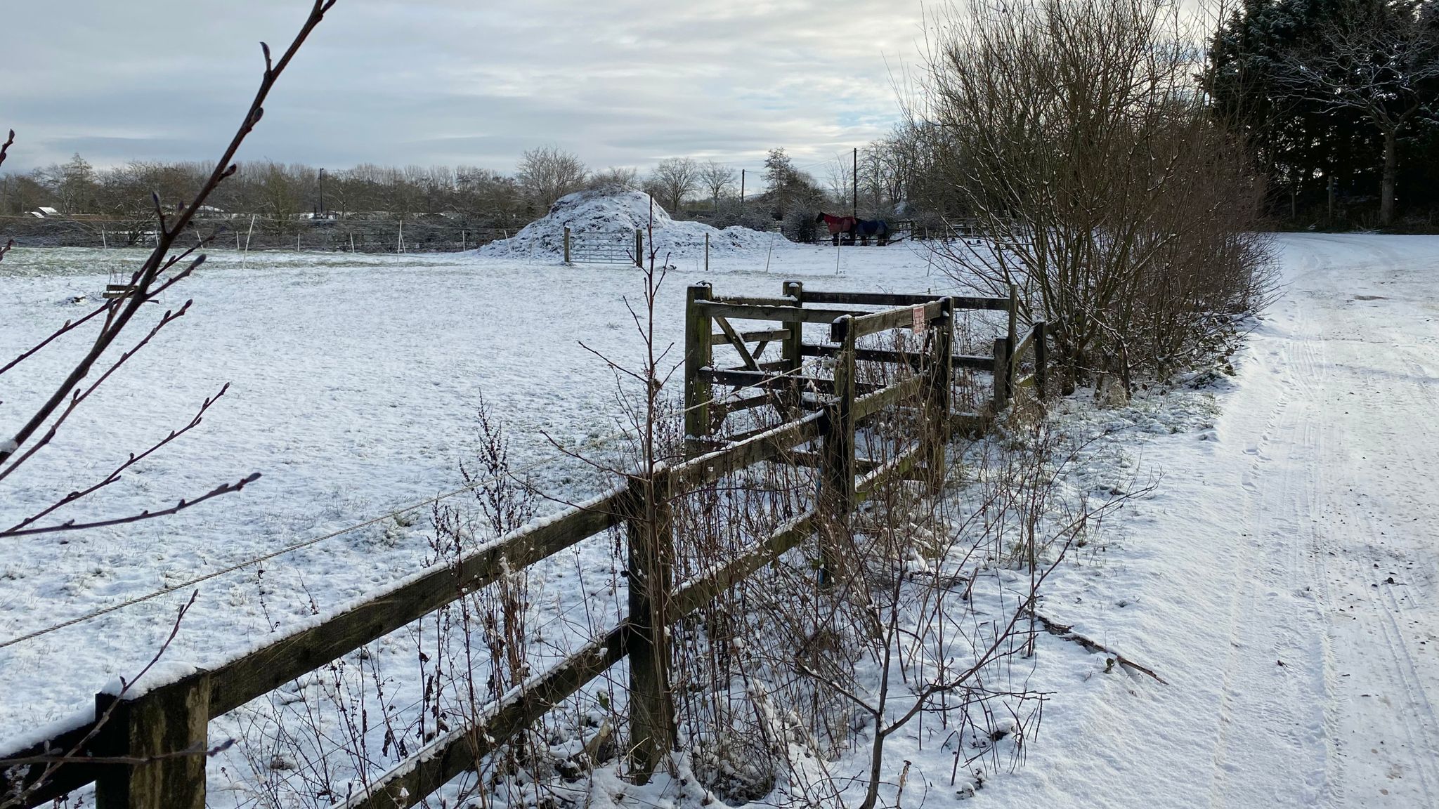 Weather in pictures: Snowy scenes across UK amid warnings of 'bitterly ...