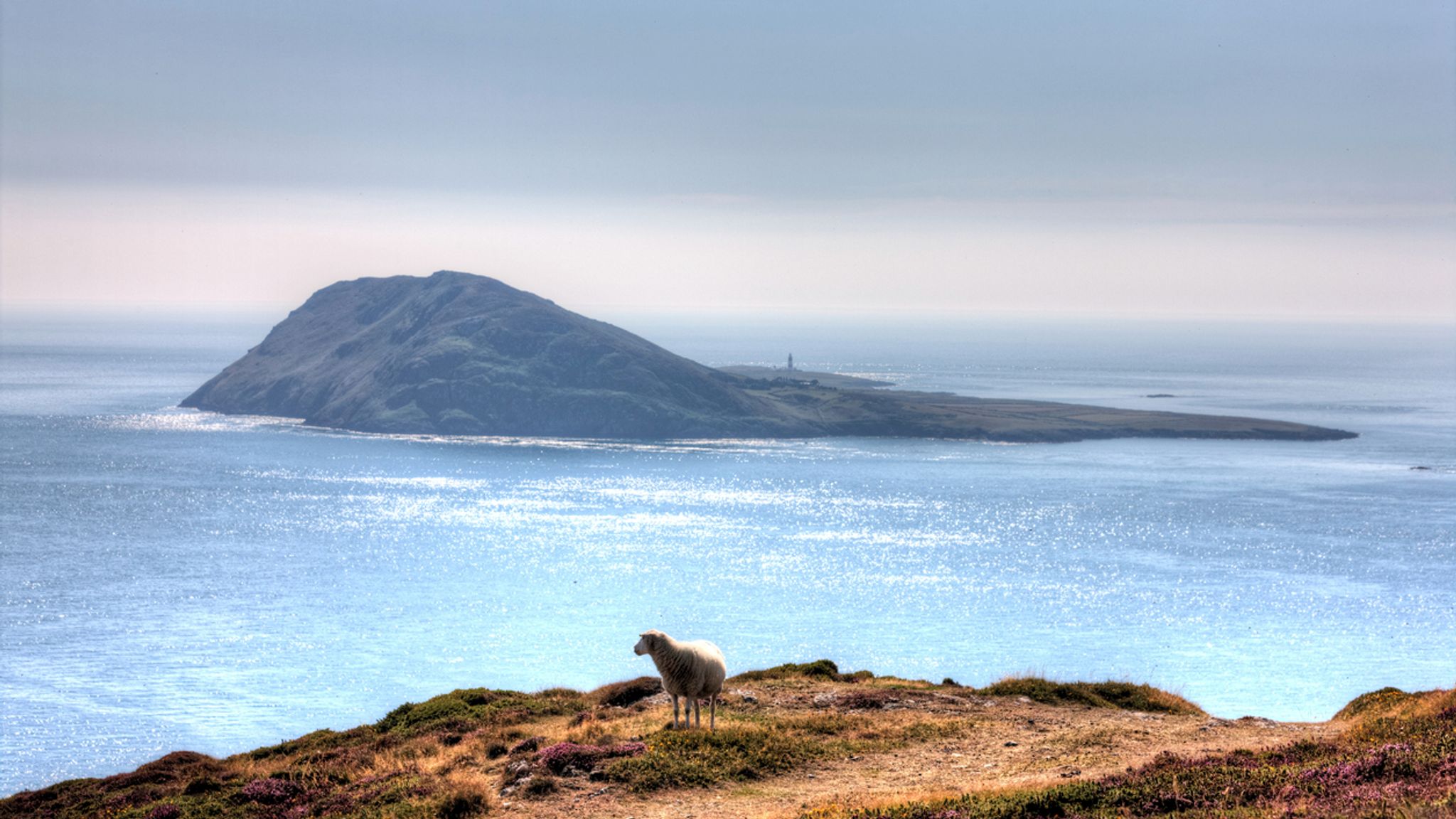 Ynys Enlli: Remote Welsh island offers £11.44 an hour if you're ...