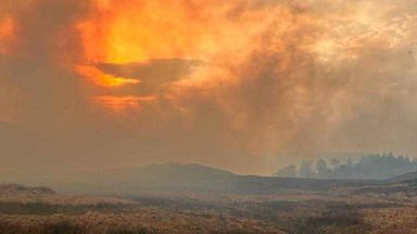 UK records its warmest ever January temperature | UK News | Sky News