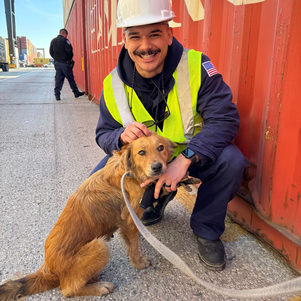 Dog rescued from shipping container in Texas port after being trapped ...