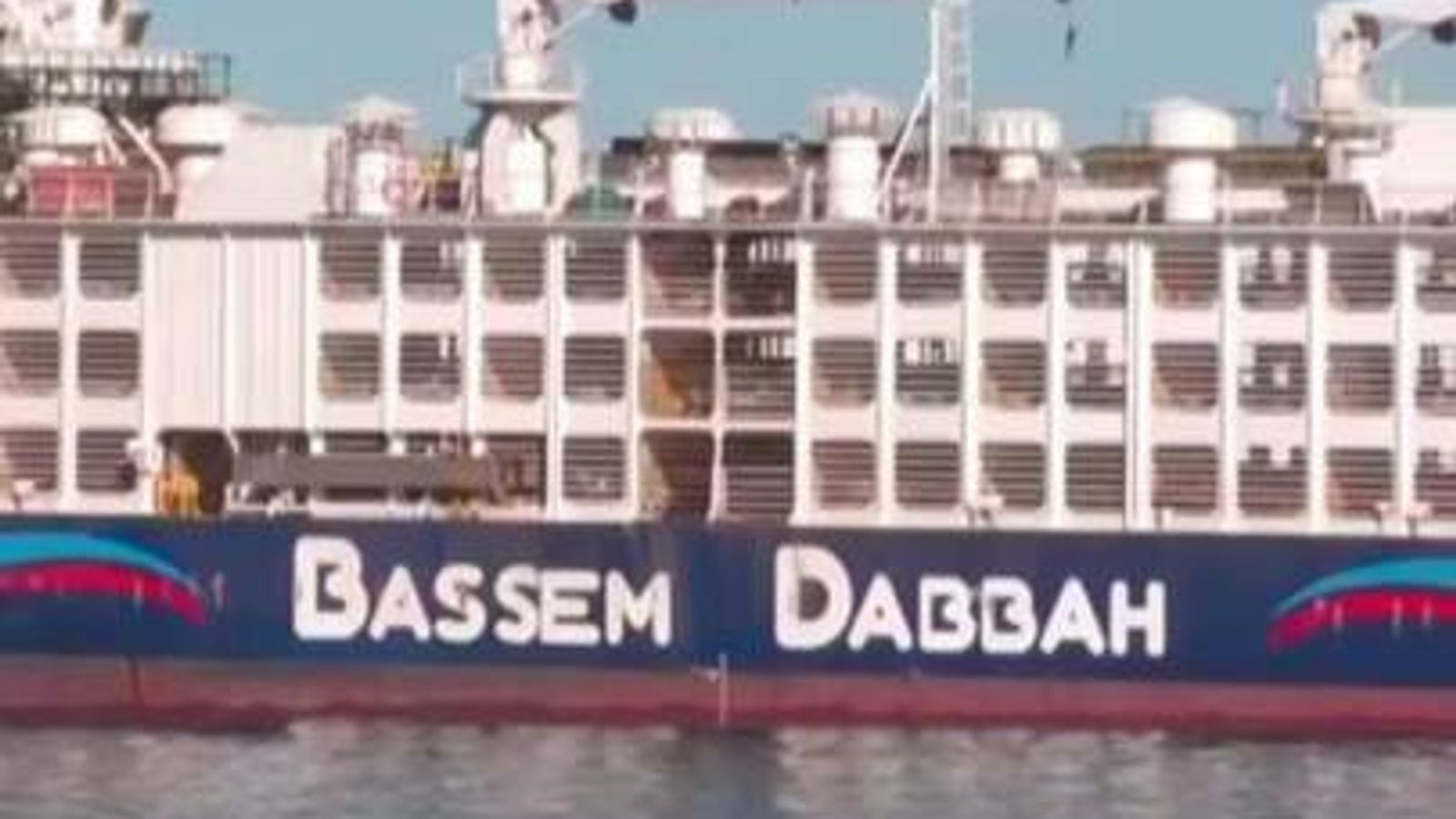 Export ship with 14,000 sheep and 2,000 cattle docks in Australia after ...