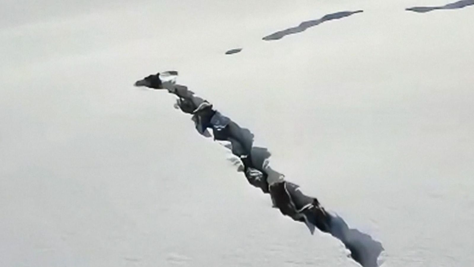 Stunning drone footage shows wolves digging tunnels through deep snow ...