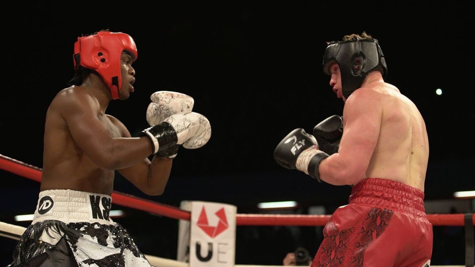 'Somebody will die': Rise of influencer boxing sparks safety fears | UK ...