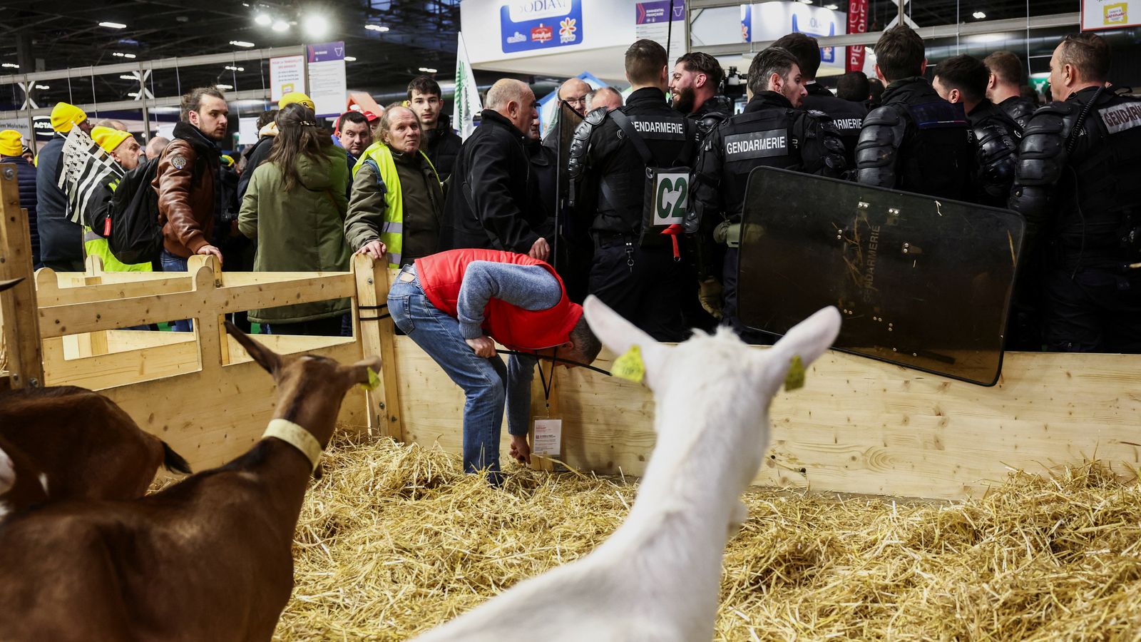 Paris: Farmers spoiling for a punch-up storm agricultural show as ...