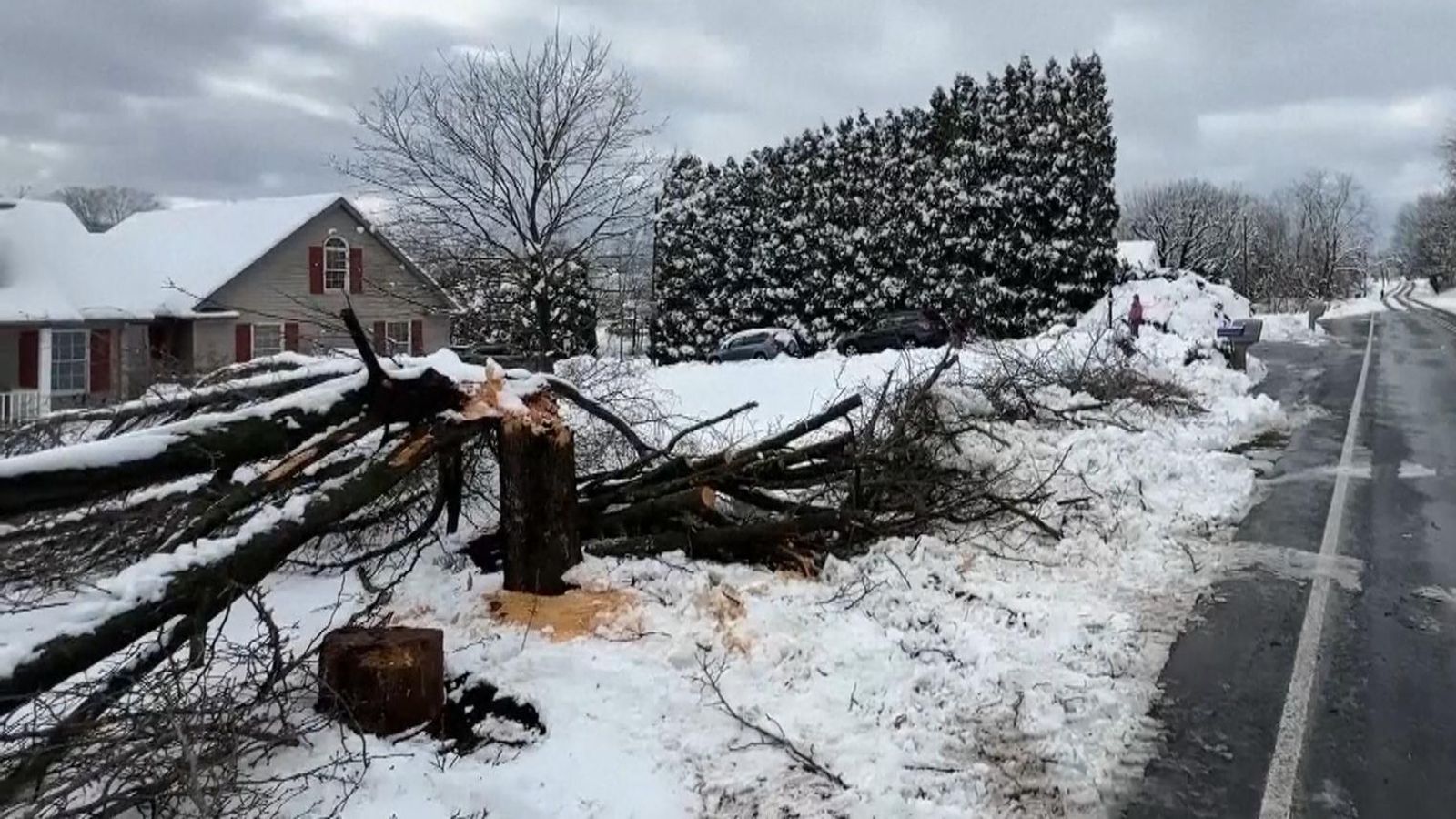 US: A winter storm has hit the northeast causing branches and trees to ...