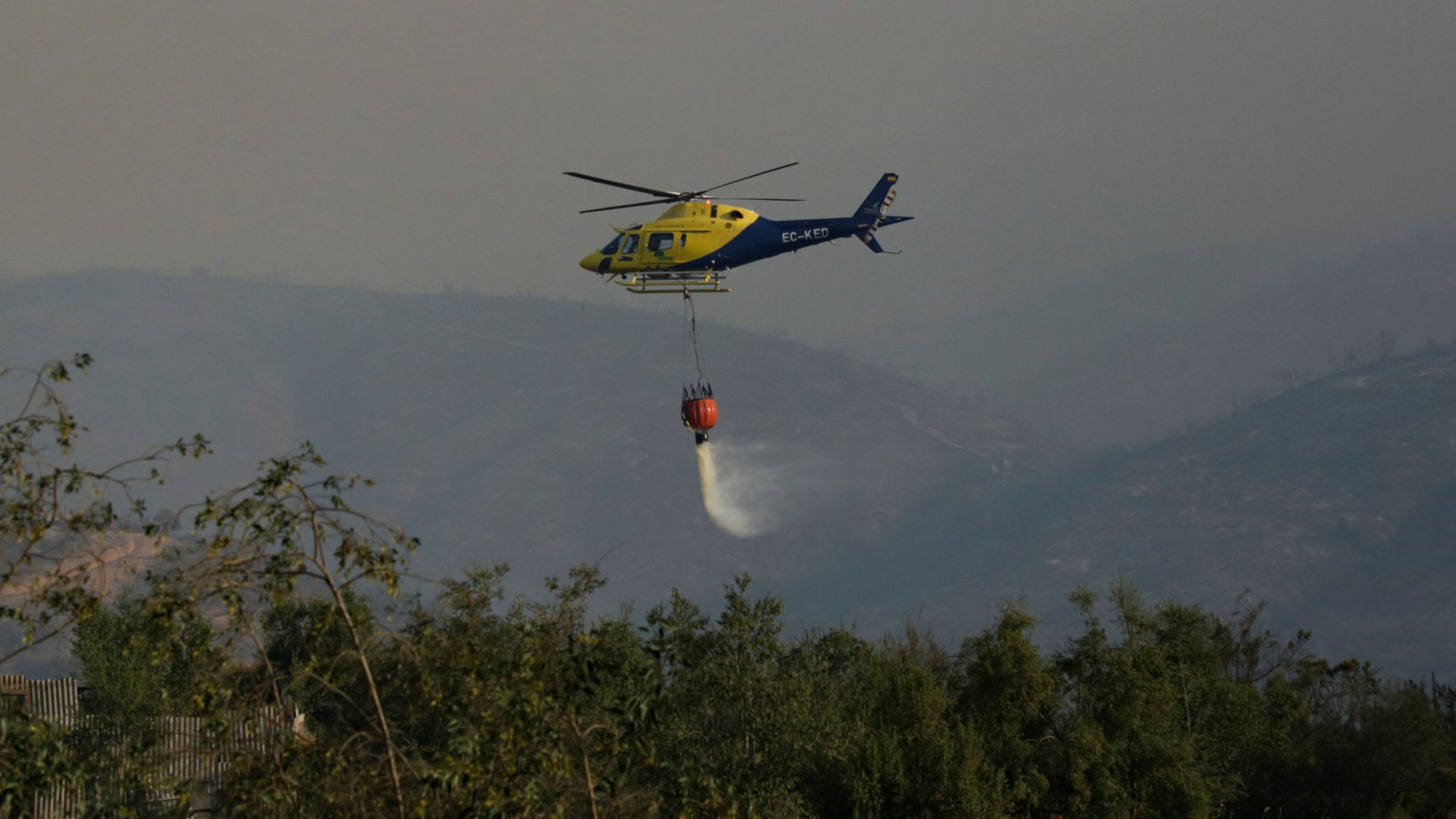 Chile wildfires: Dozens killed as fast as fast spreading flames wreak ...