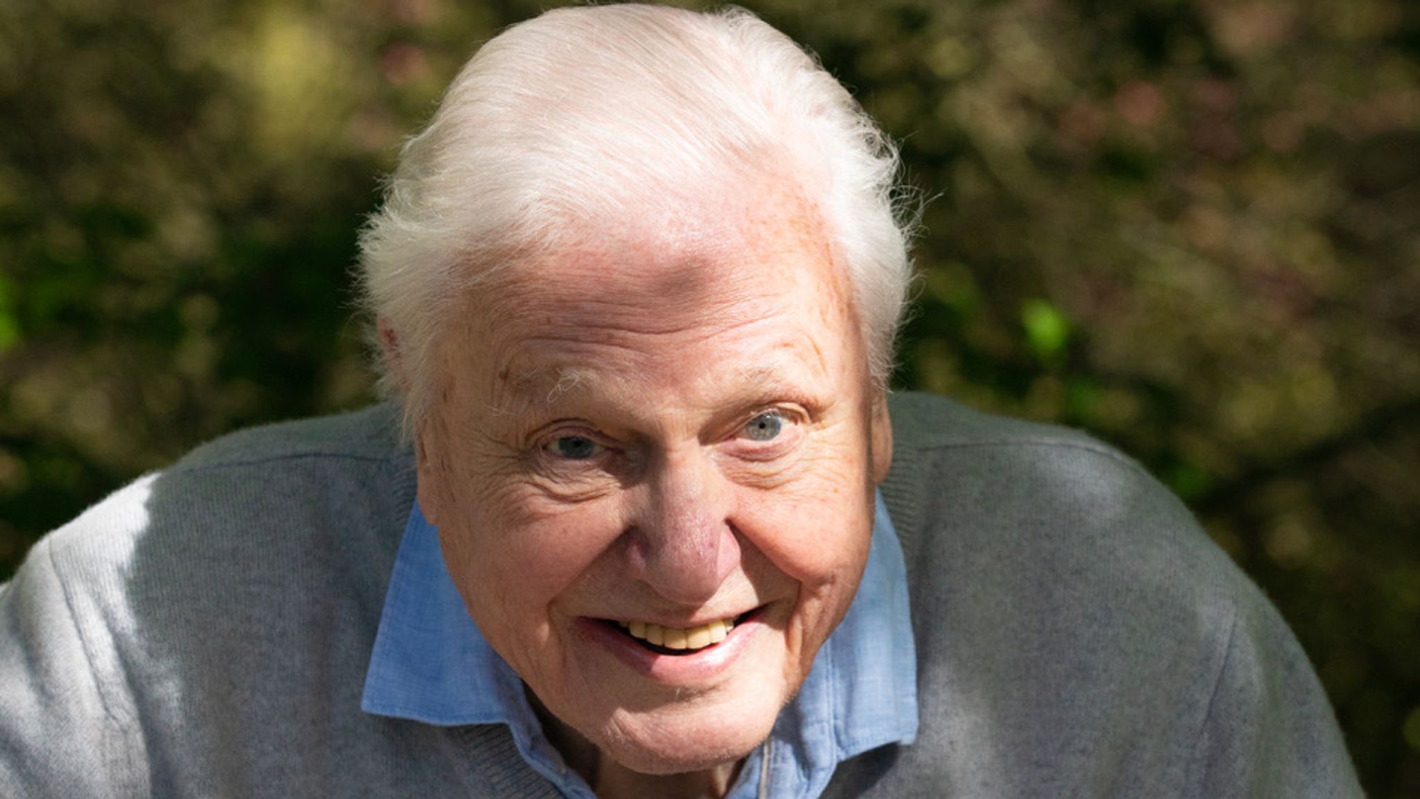 David Attenborough at 97: 'He still works harder than most of us ...